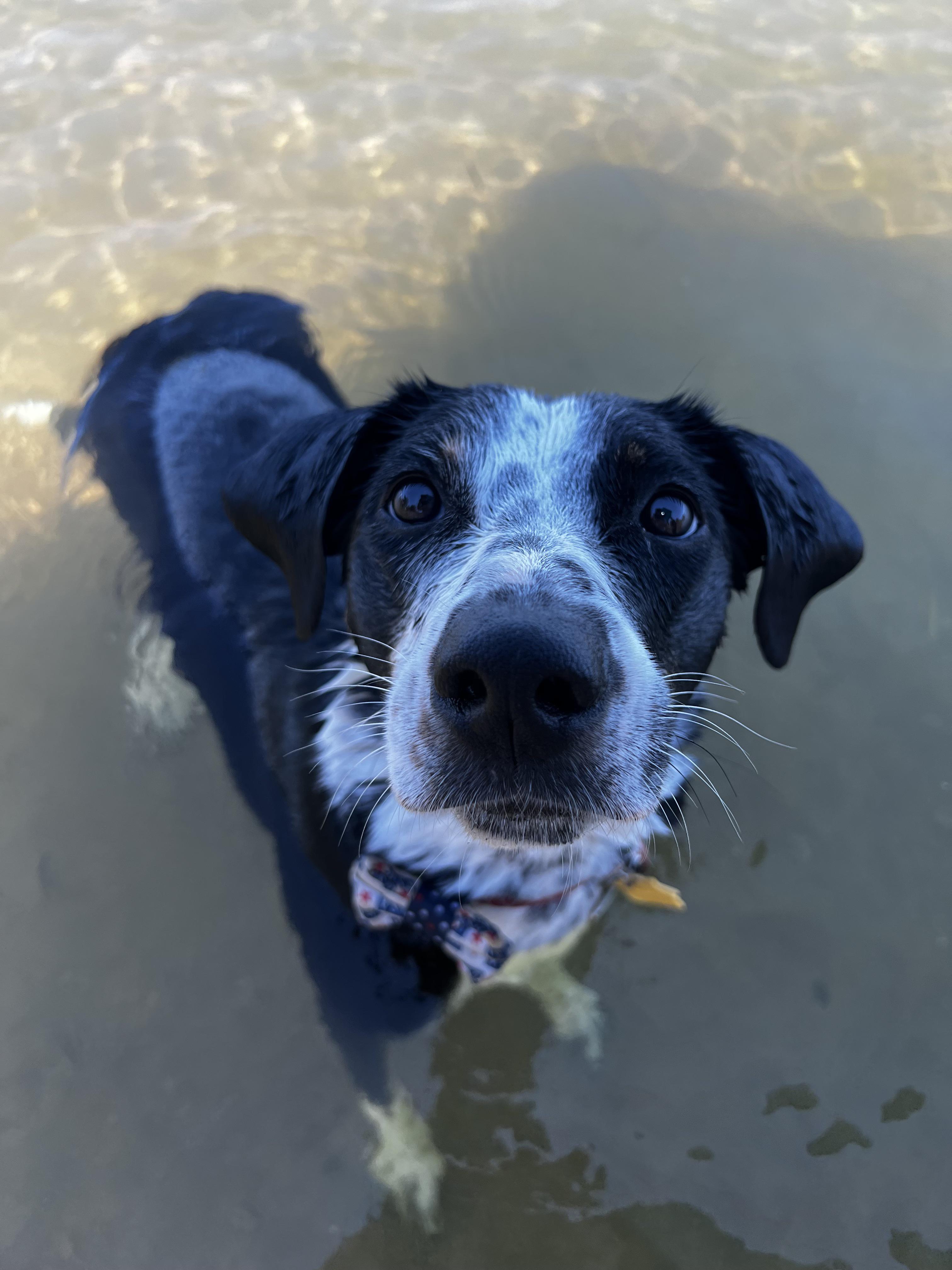 Cooling off | Scrolller