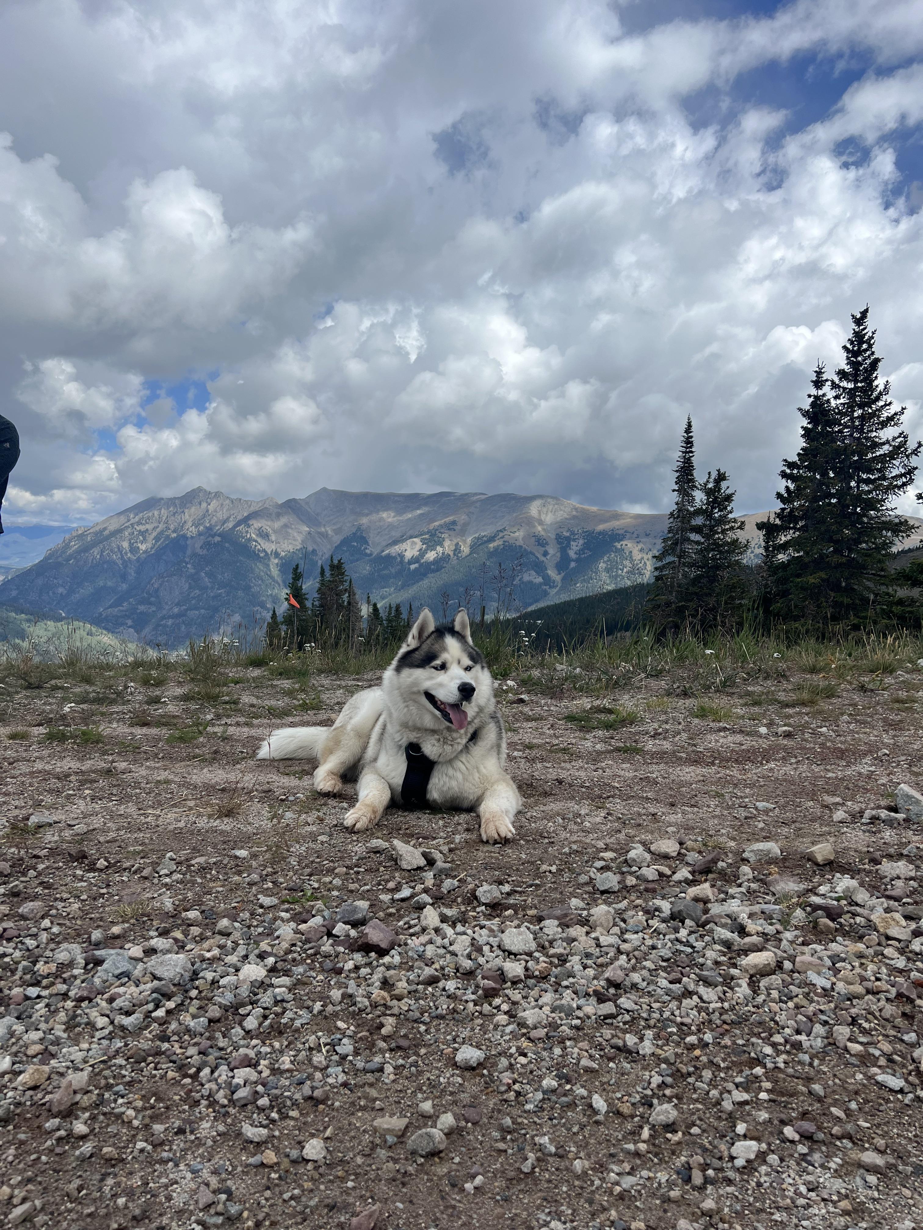 Tips to keep him engaged | Scrolller