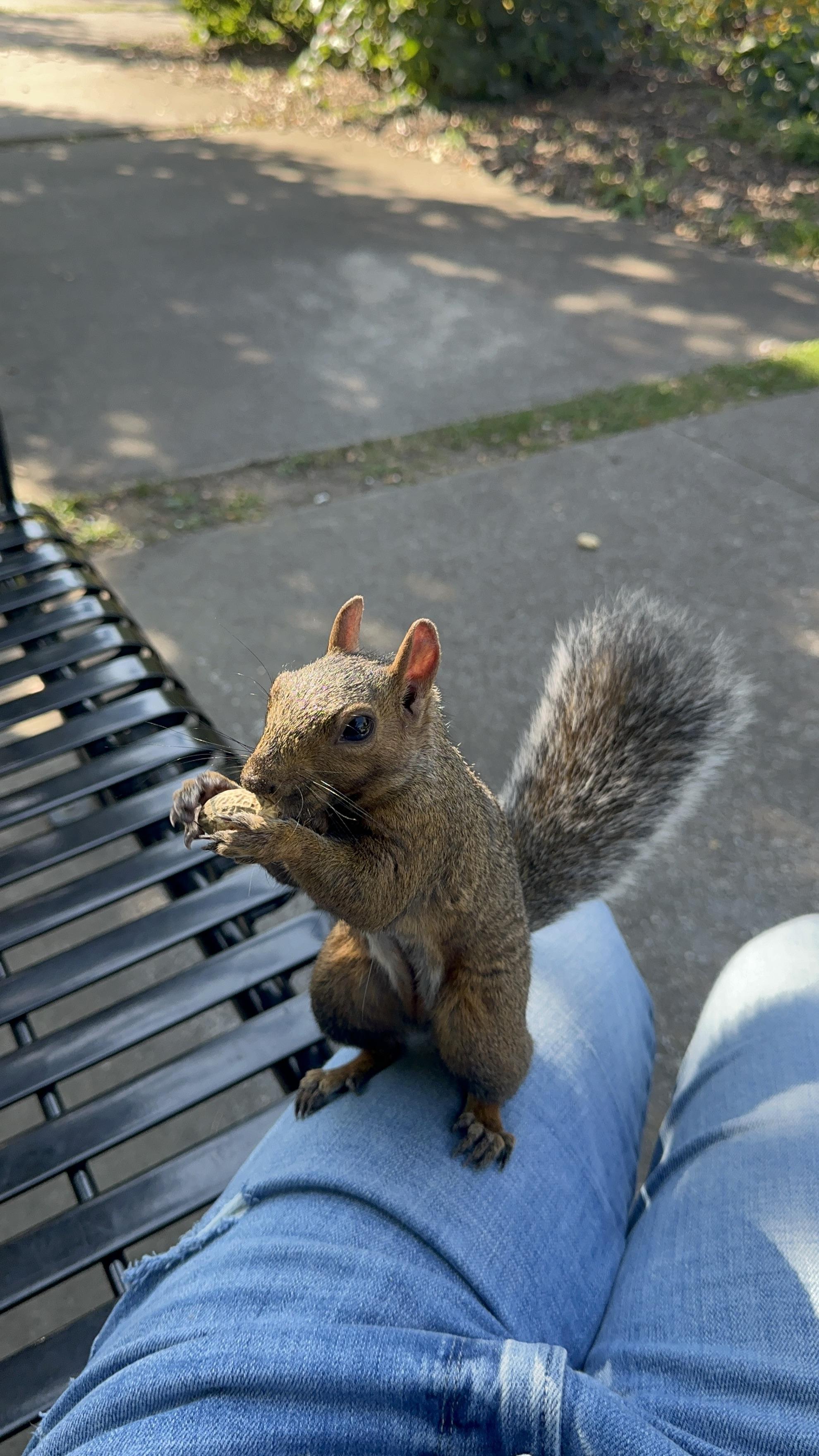 🎵 Reunited and it feels so good 🎵 | Scrolller