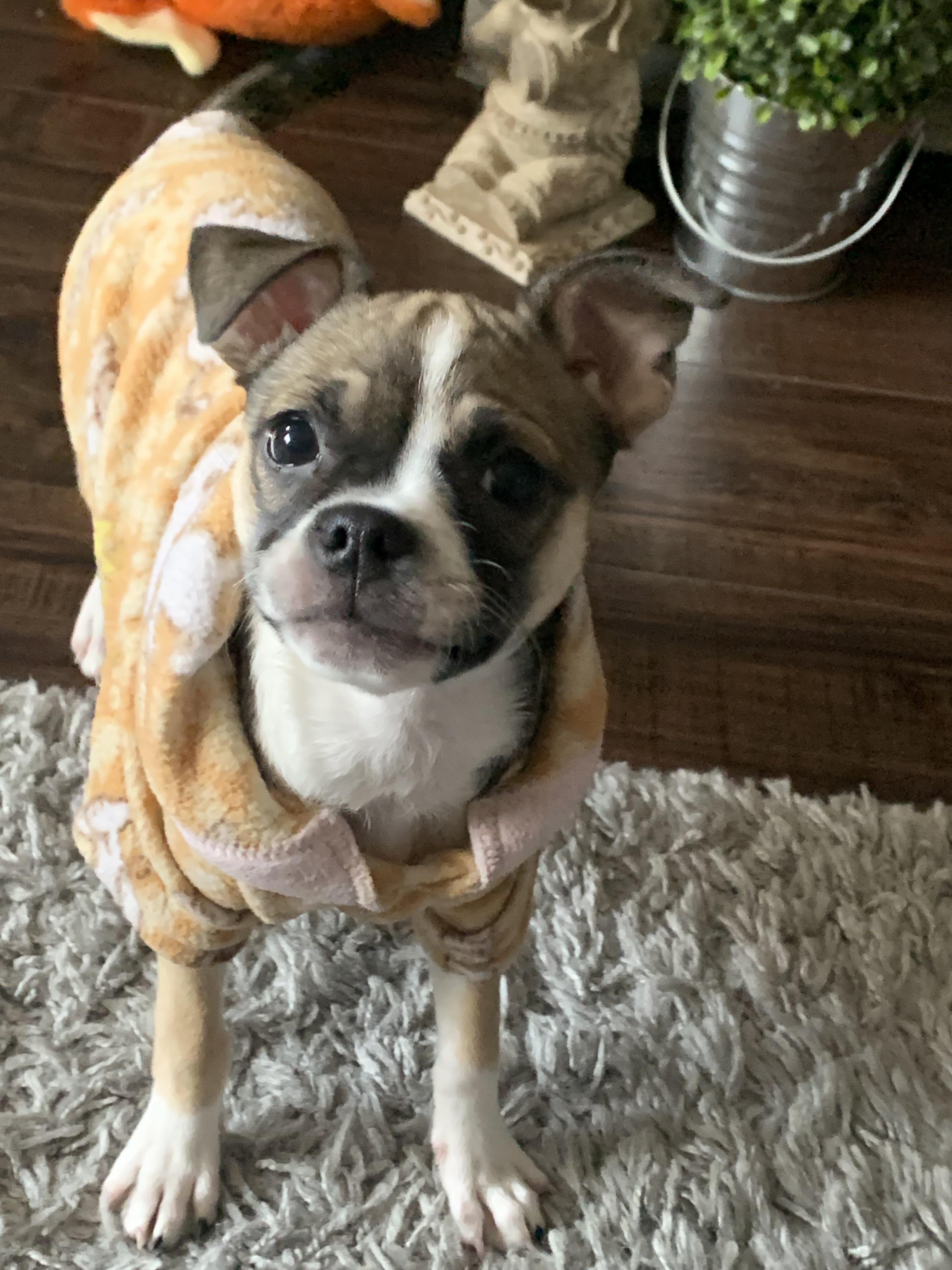 After Bath Cuddles | Scrolller