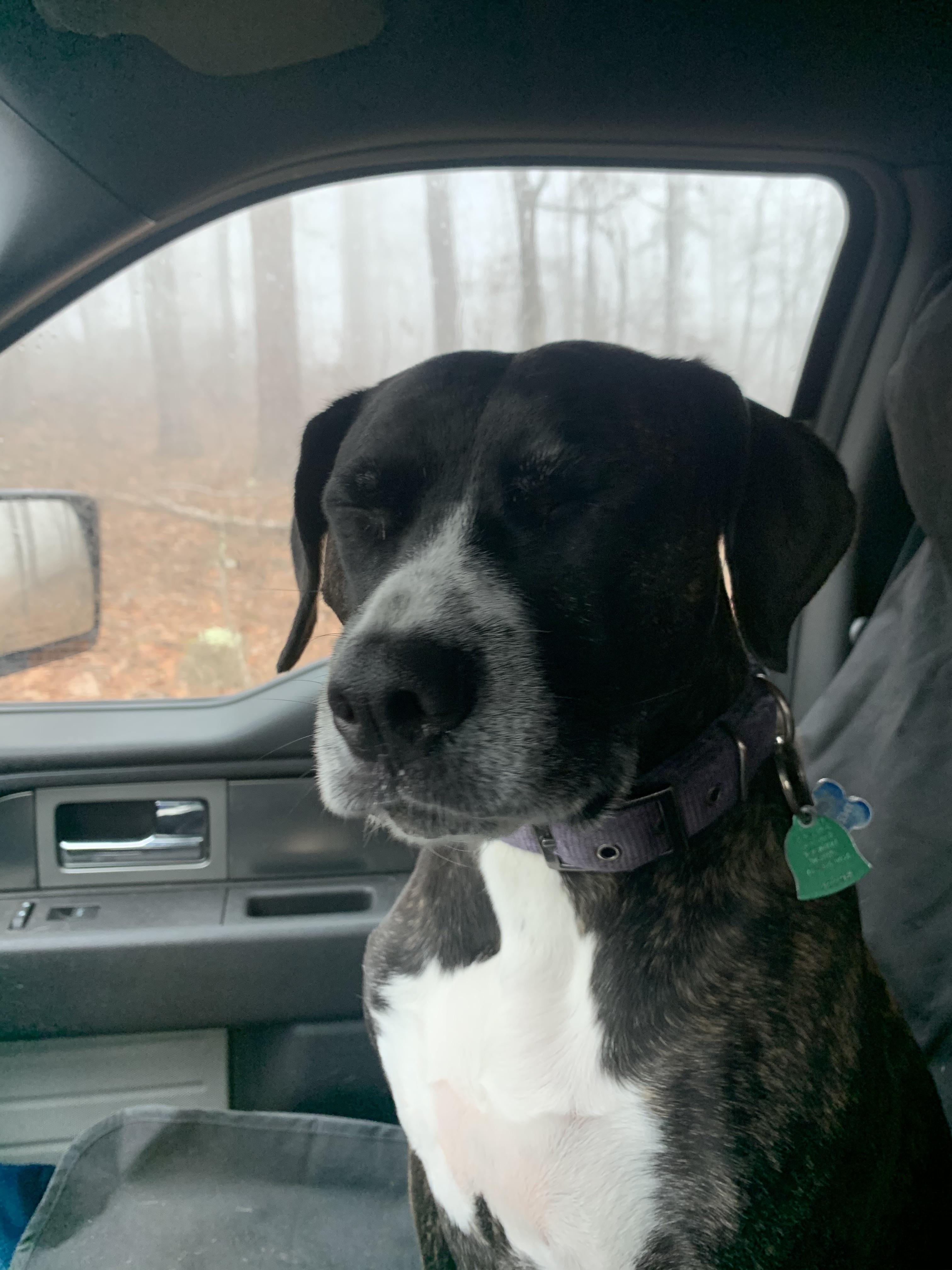 Some Pictures Of Sadie Scrolller