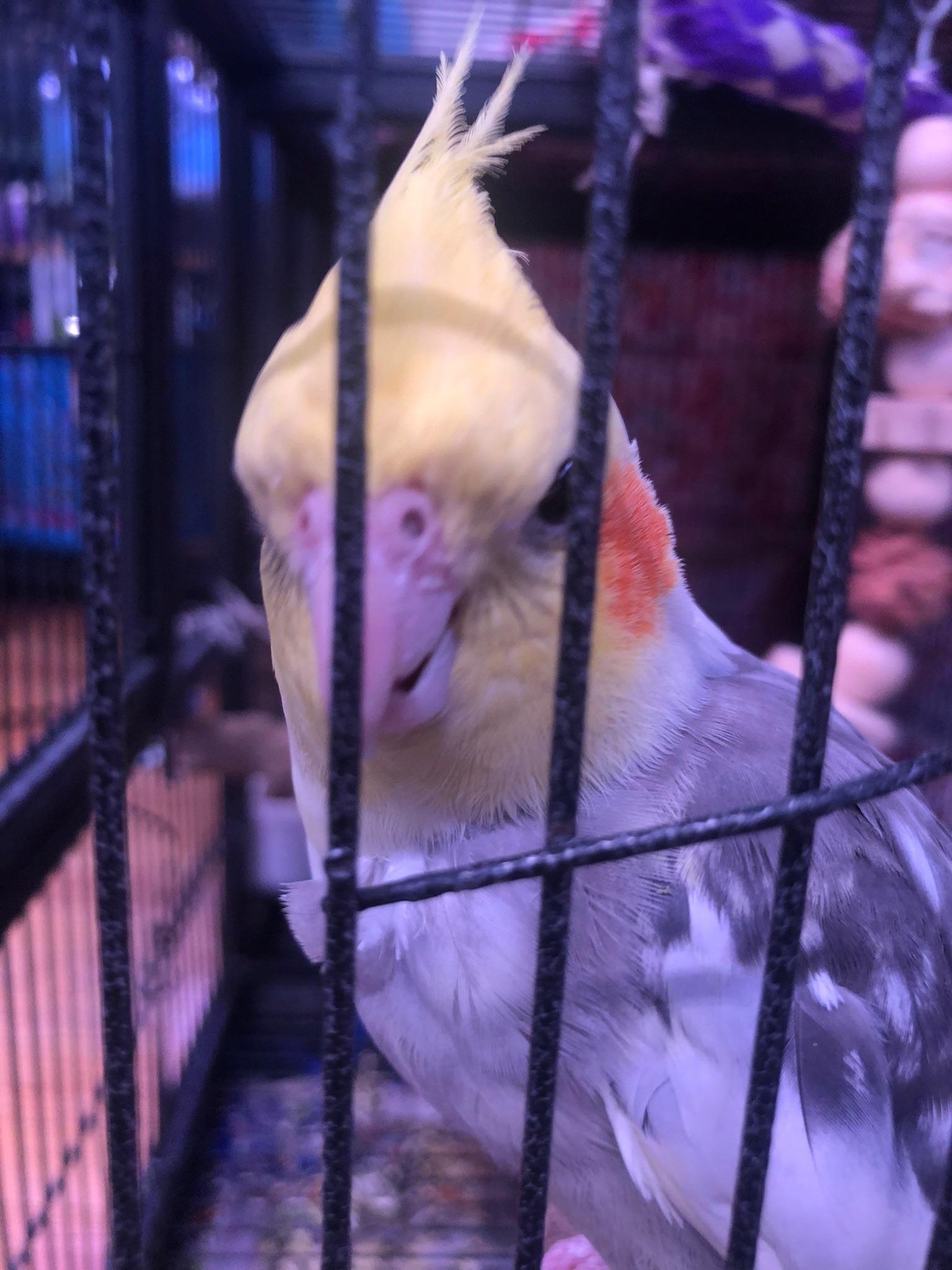 He always looks so angry | Scrolller