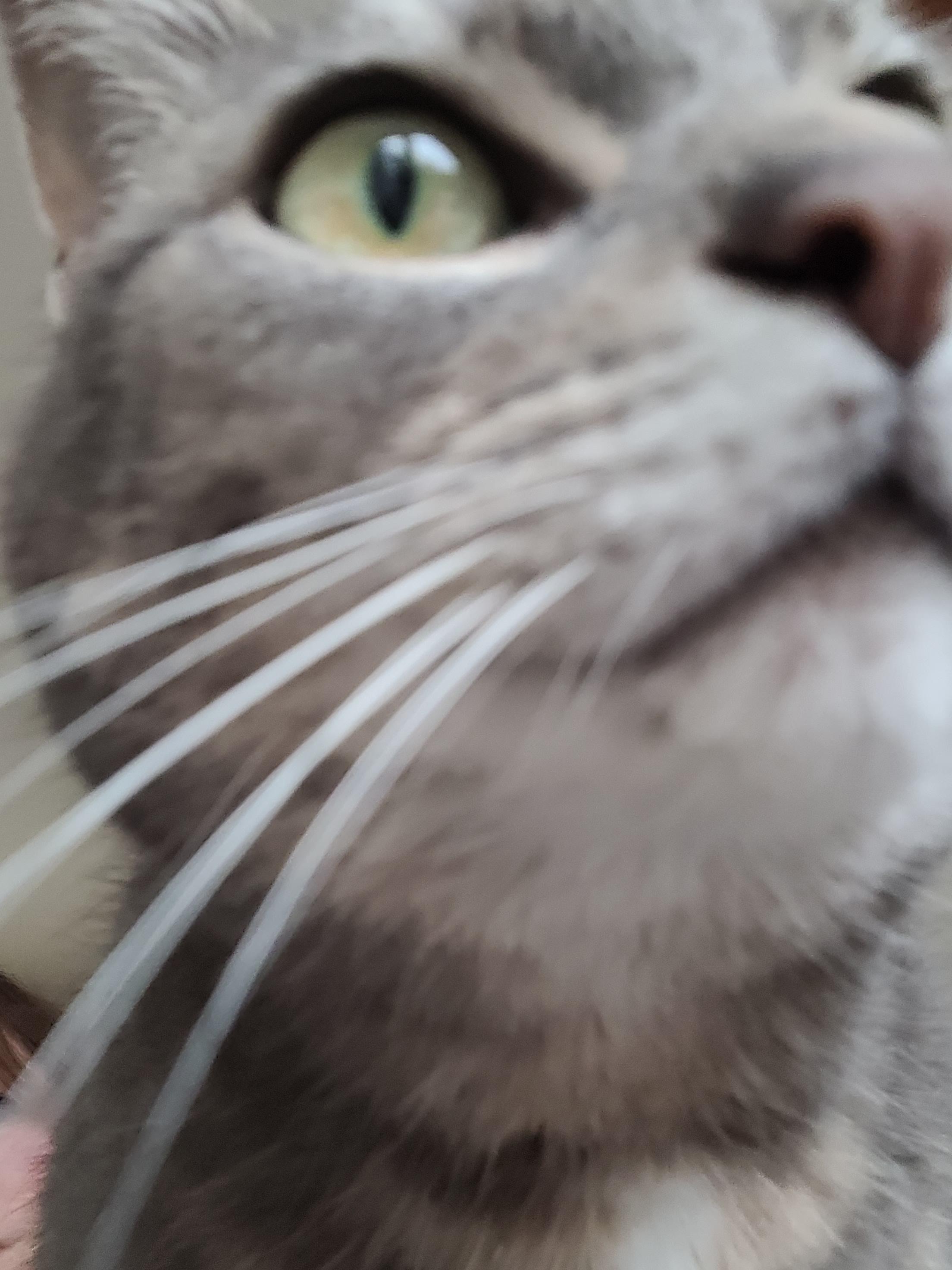 Accidental selfie moments | Scrolller