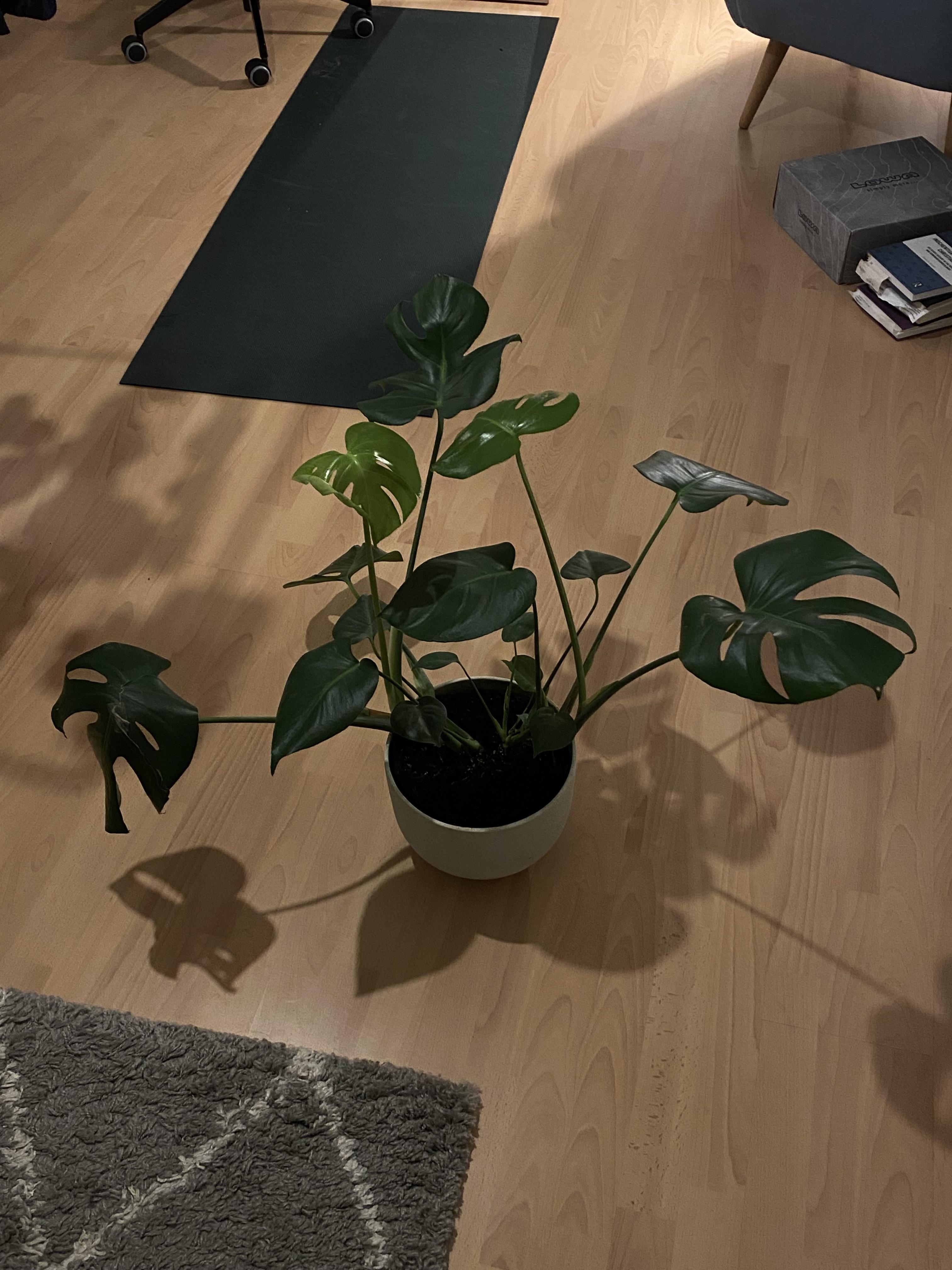 Tips for a beginner | Scrolller