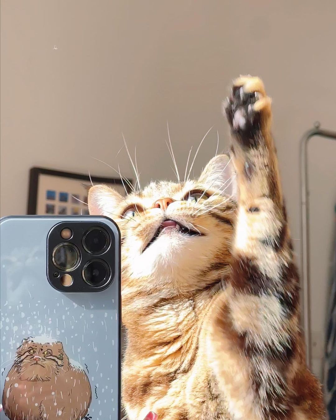 Smile at the camera | Scrolller