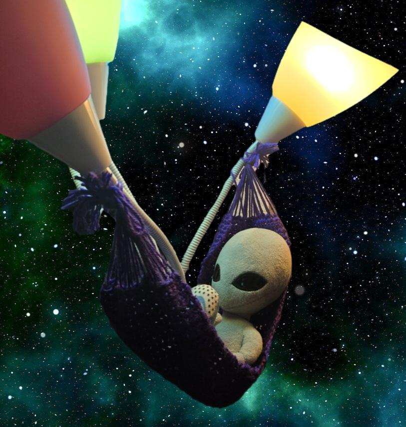 A hammock I made for my husband's little buddy Elvis ☺️ | Scrolller