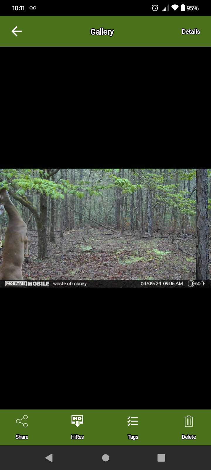 Happy guy eating dogwood blooms | Scrolller