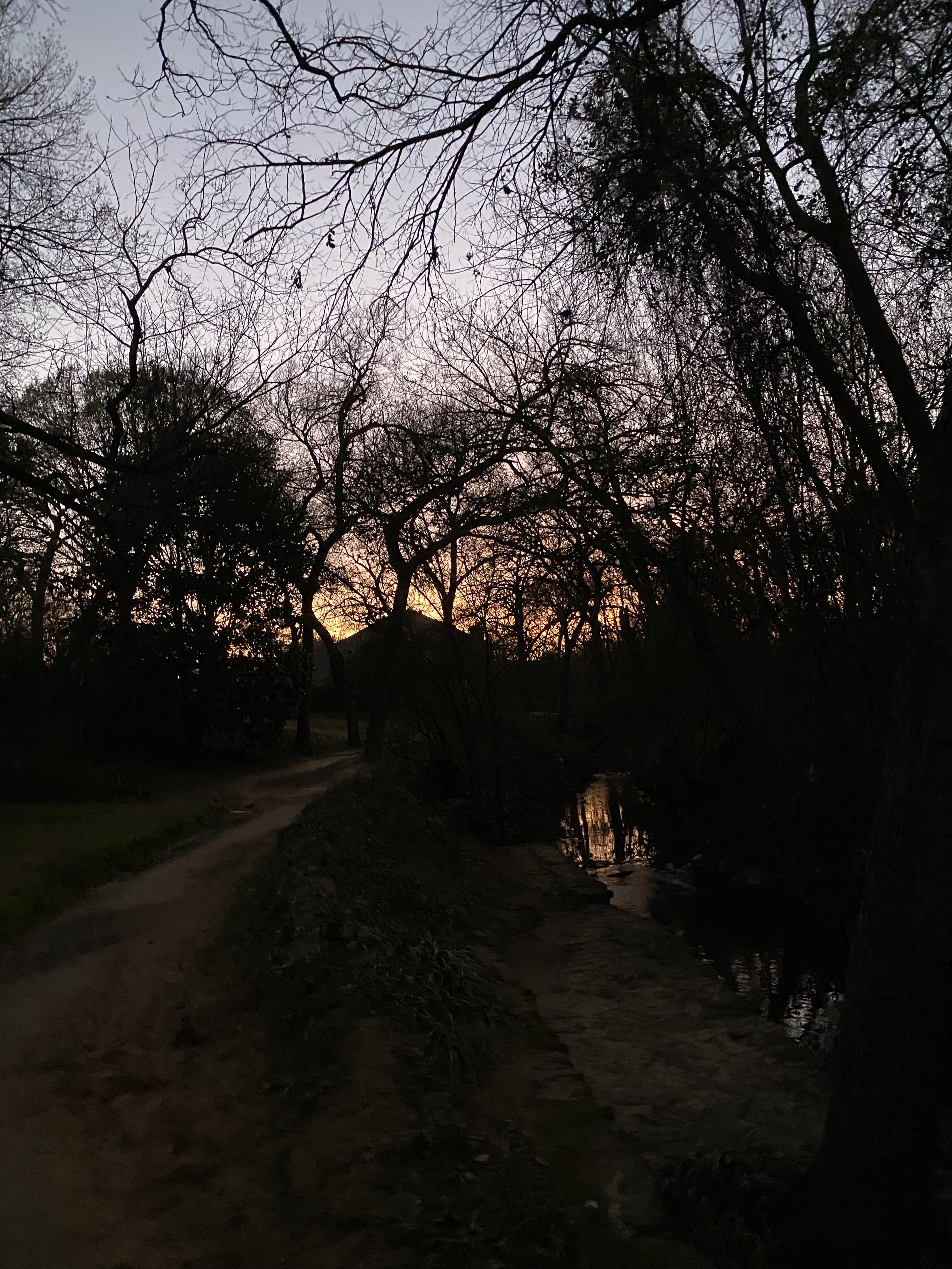 Trail walk at dusk | Scrolller