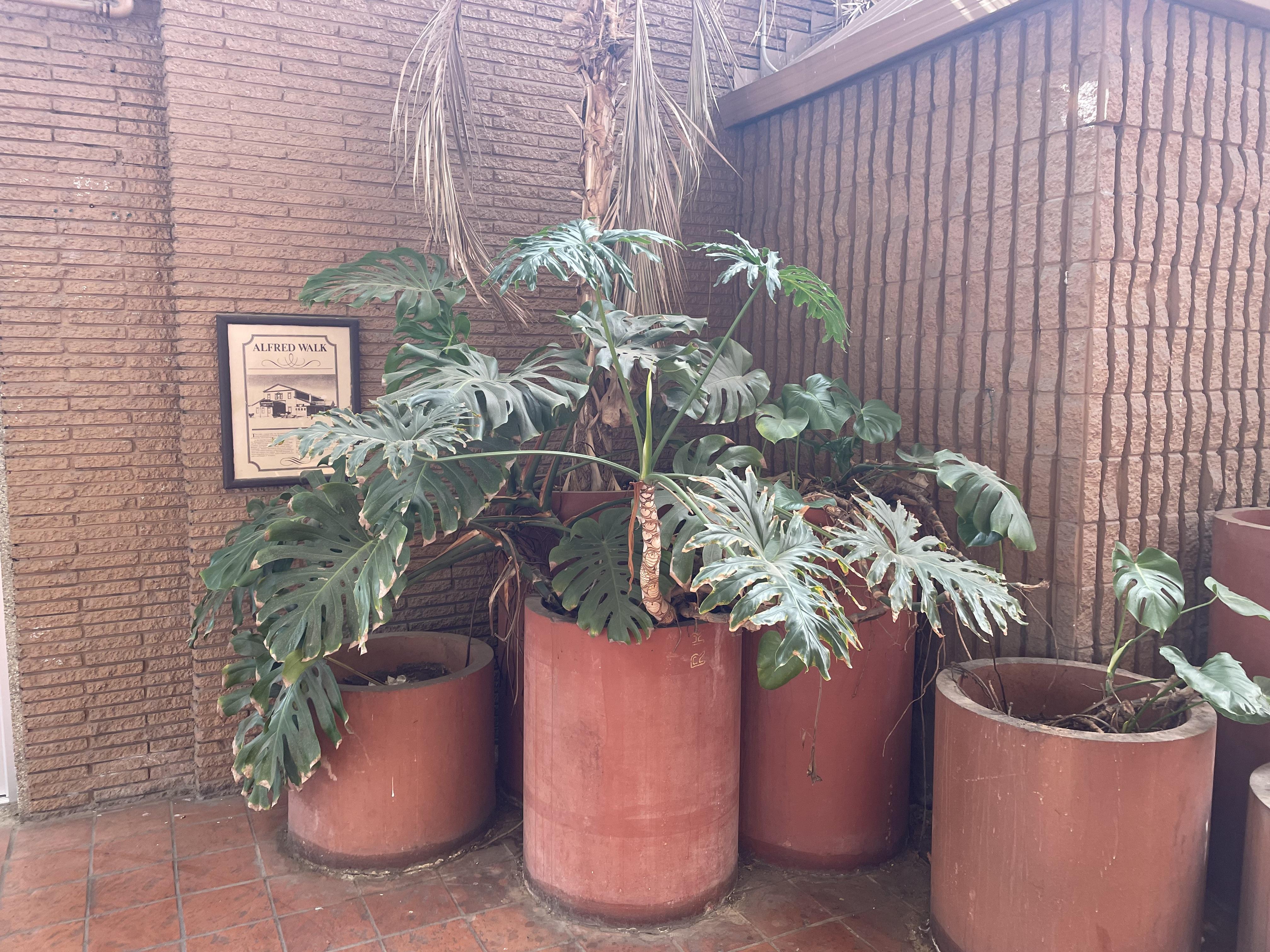 Saw these at the mall. | Scrolller