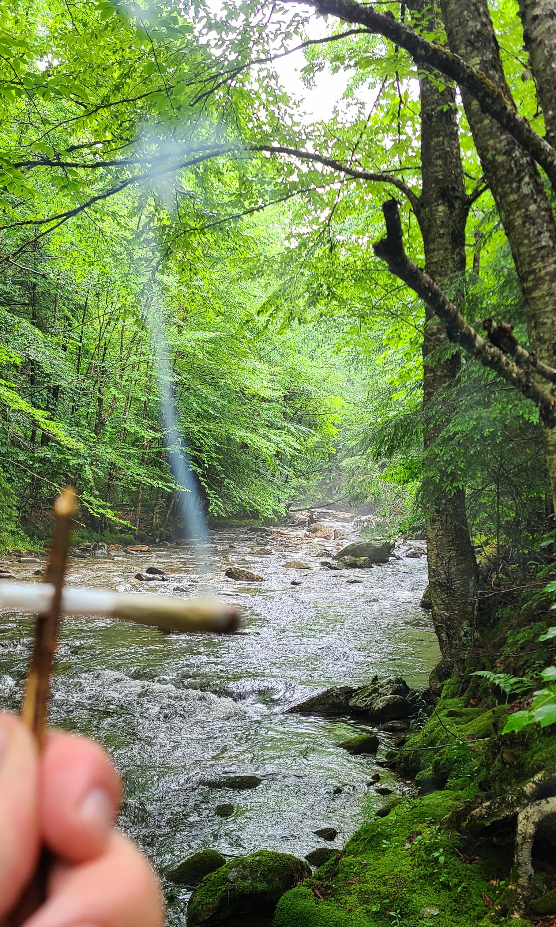 Kinda moist today.. | Scrolller