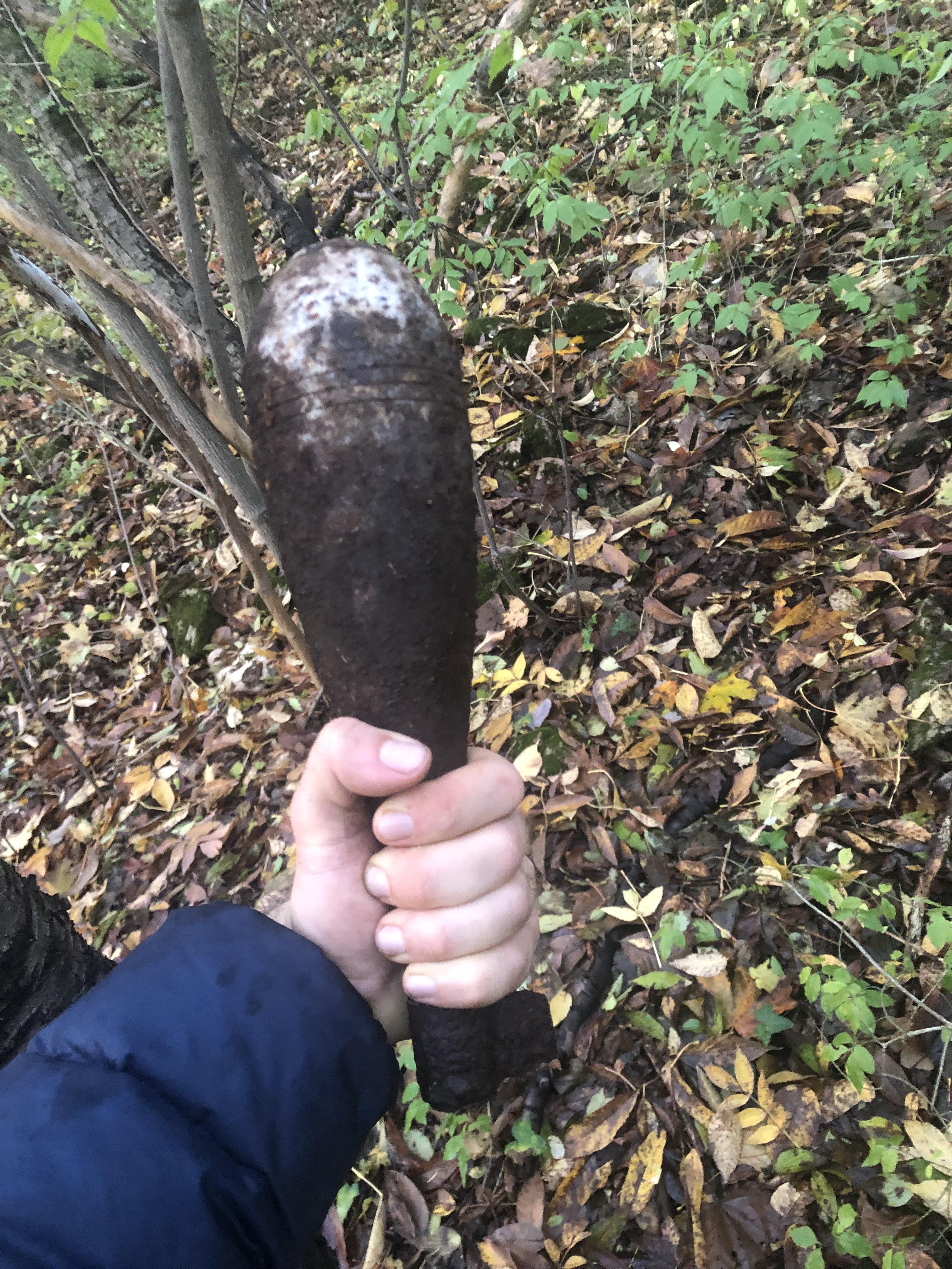 Using this as a dildo will make you feel an explosive amount of pleasure | Scrolller