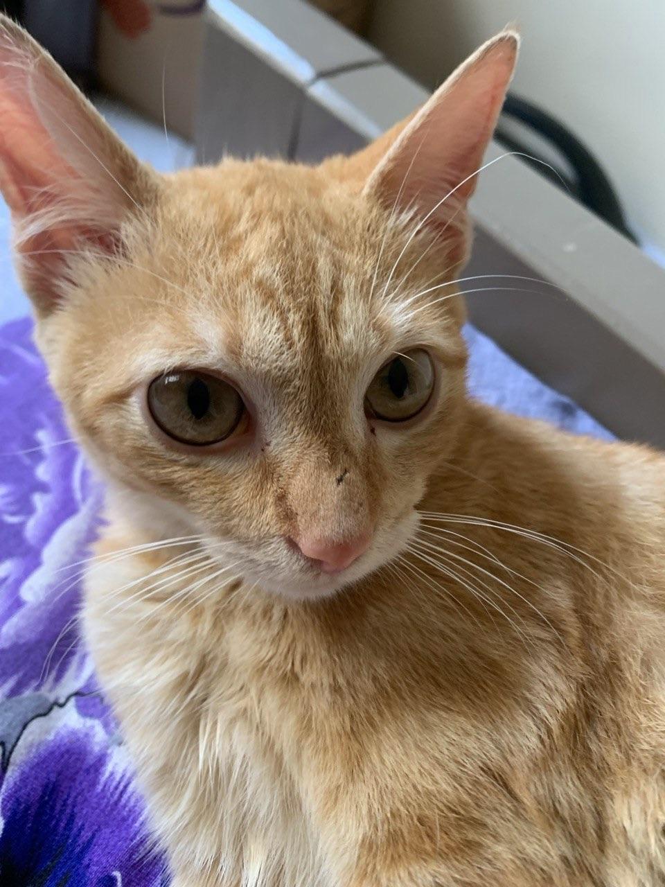 Together for six months | Scrolller