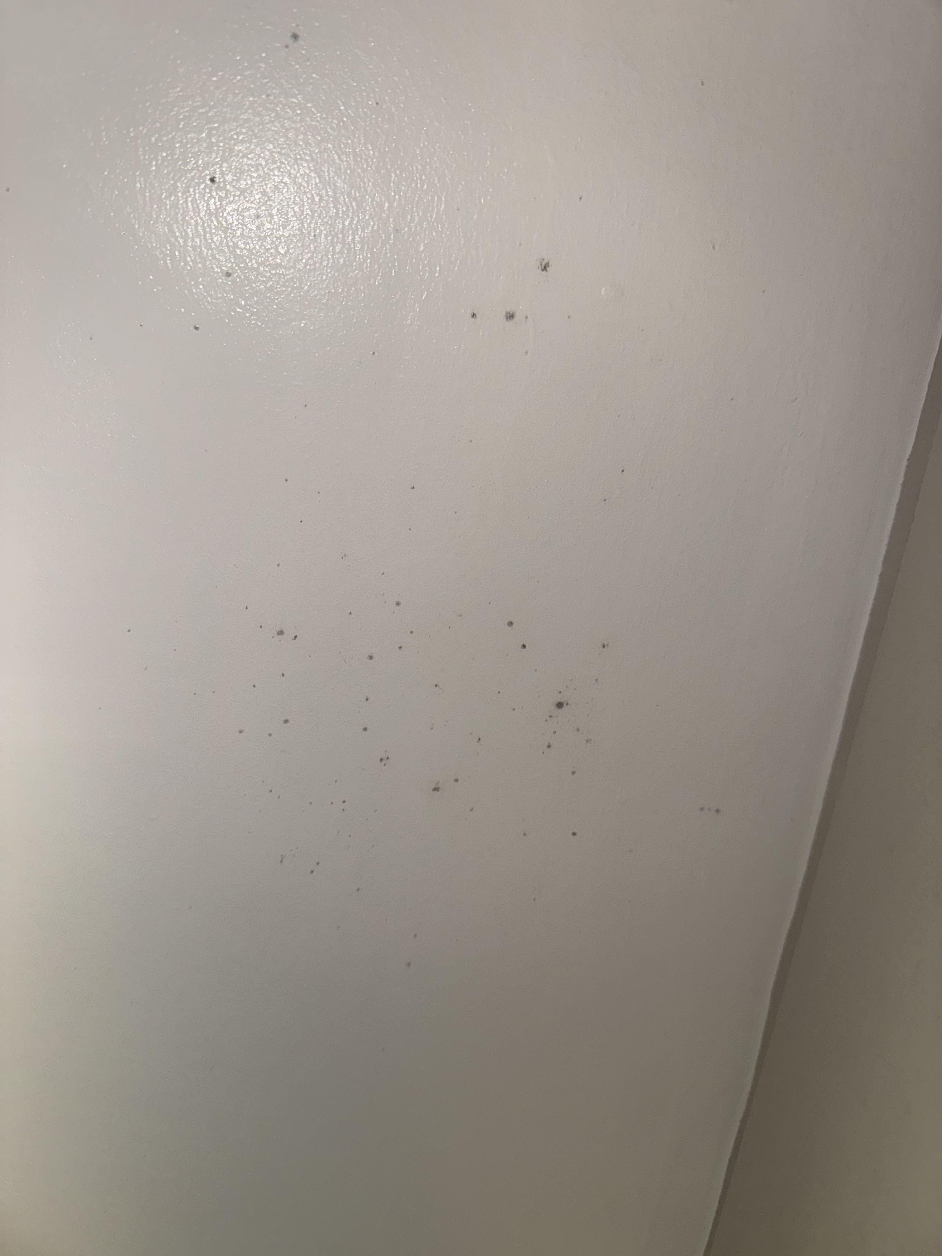 How can i clean/ stop it from growing? | Scrolller