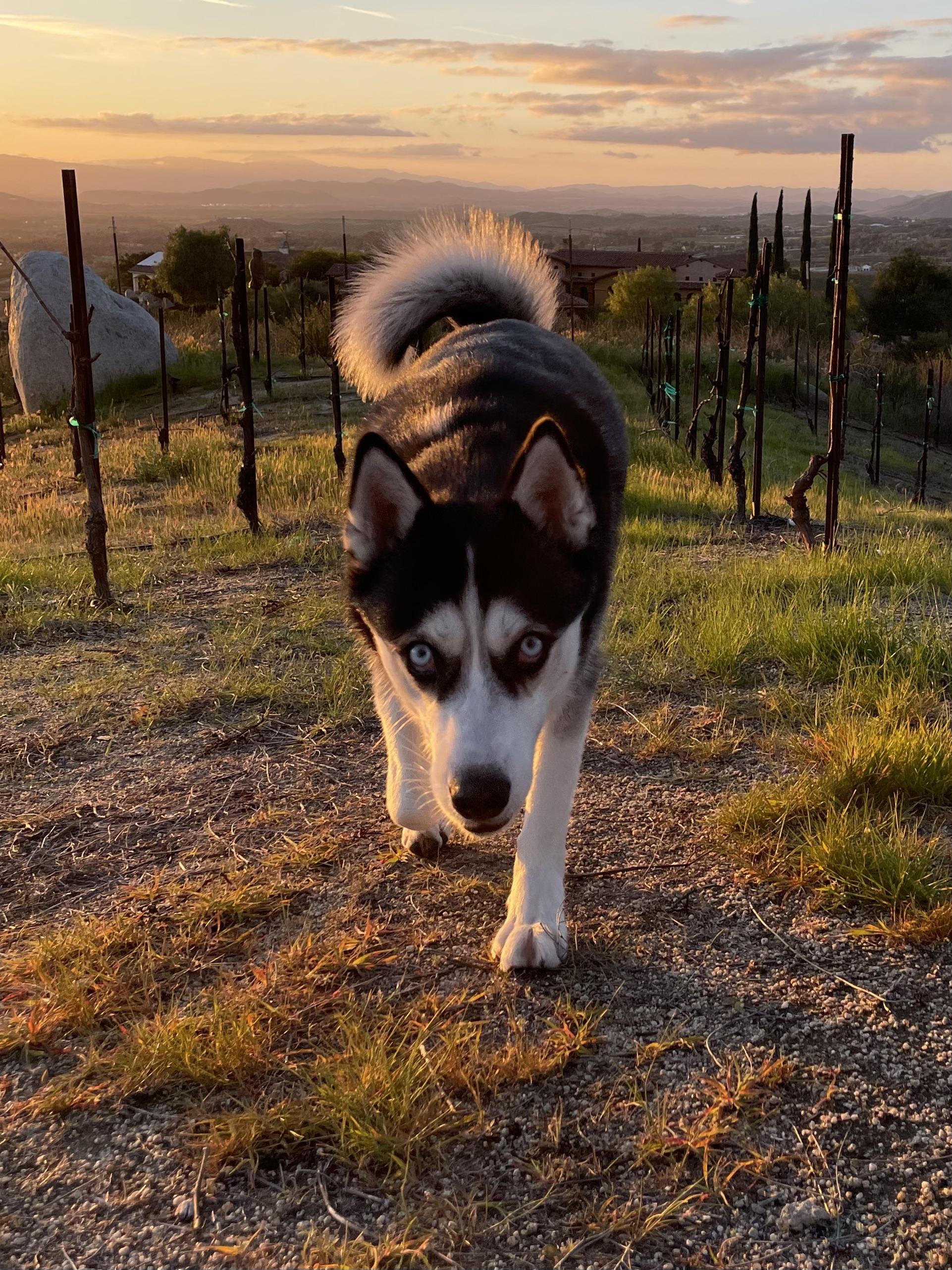 POV you’re a spoon of peanut butter | Scrolller