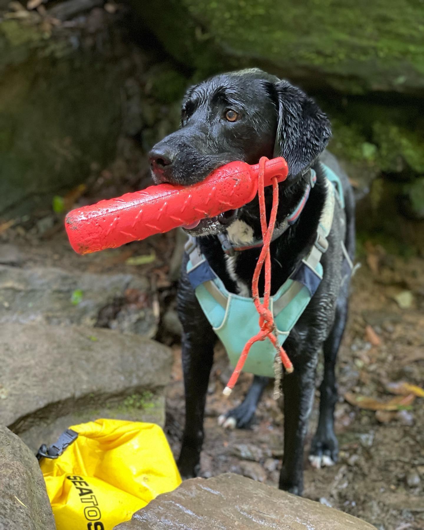 Aging working lab | Scrolller