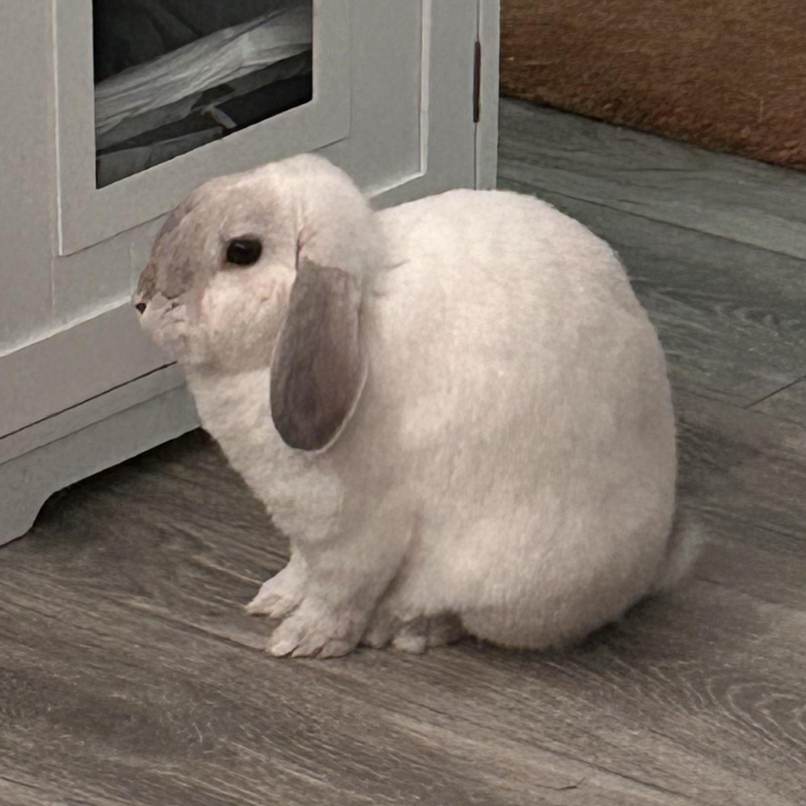 SHES SO ROUND | Scrolller