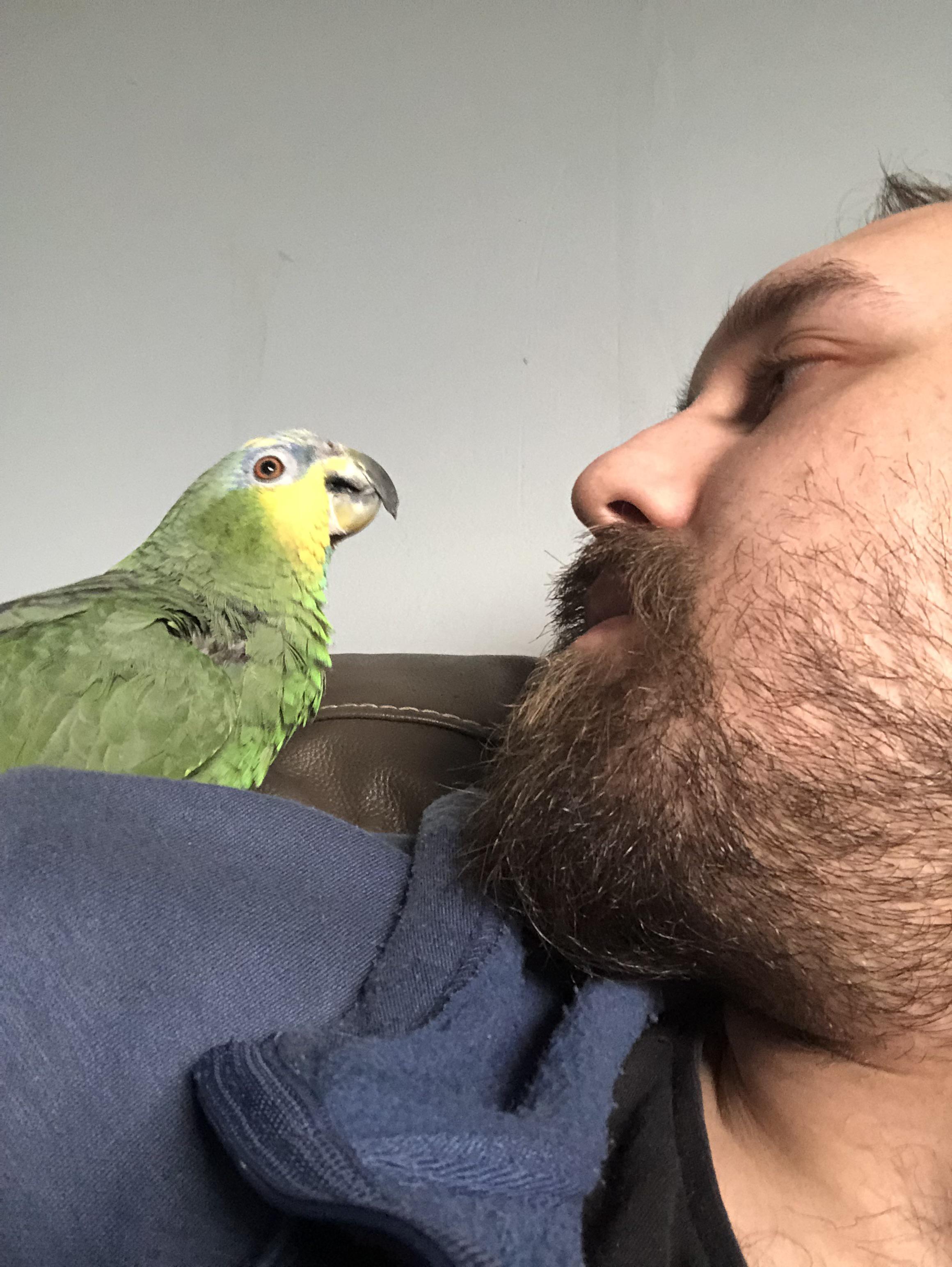 Overly attached green boy | Scrolller