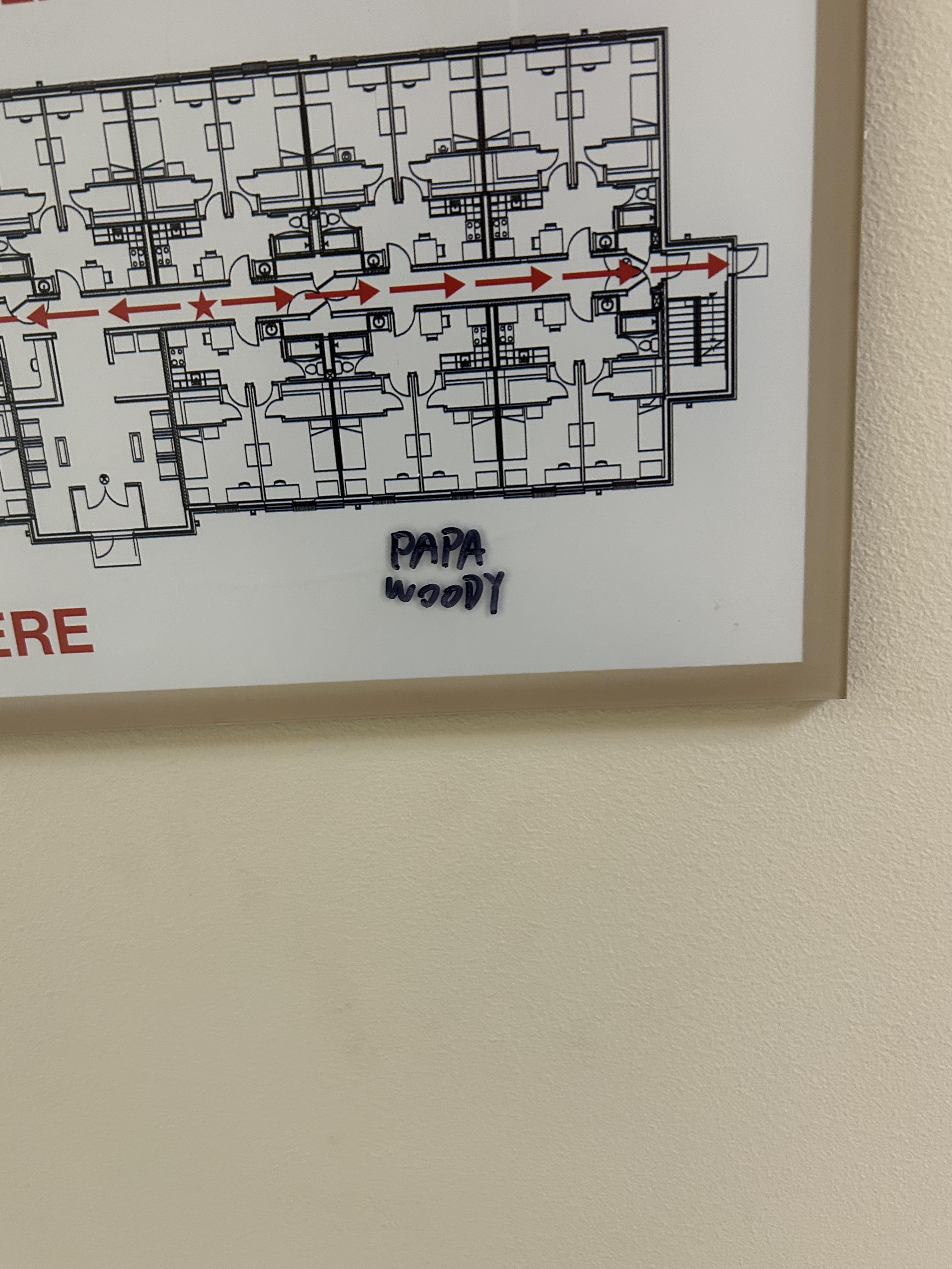 What’s the Lore of Papa Woody at HAAF? | Scrolller