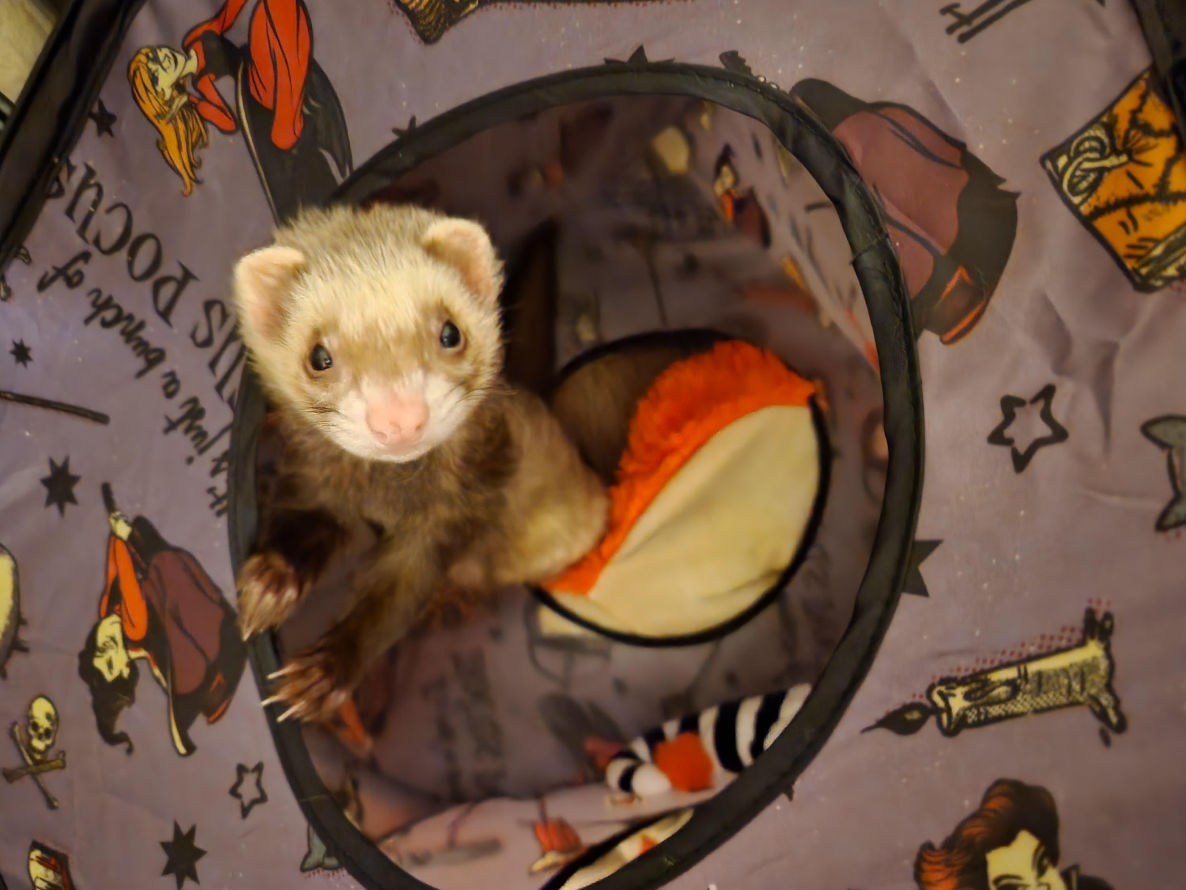 Birthday girl celebrating with her brothers! | Scrolller