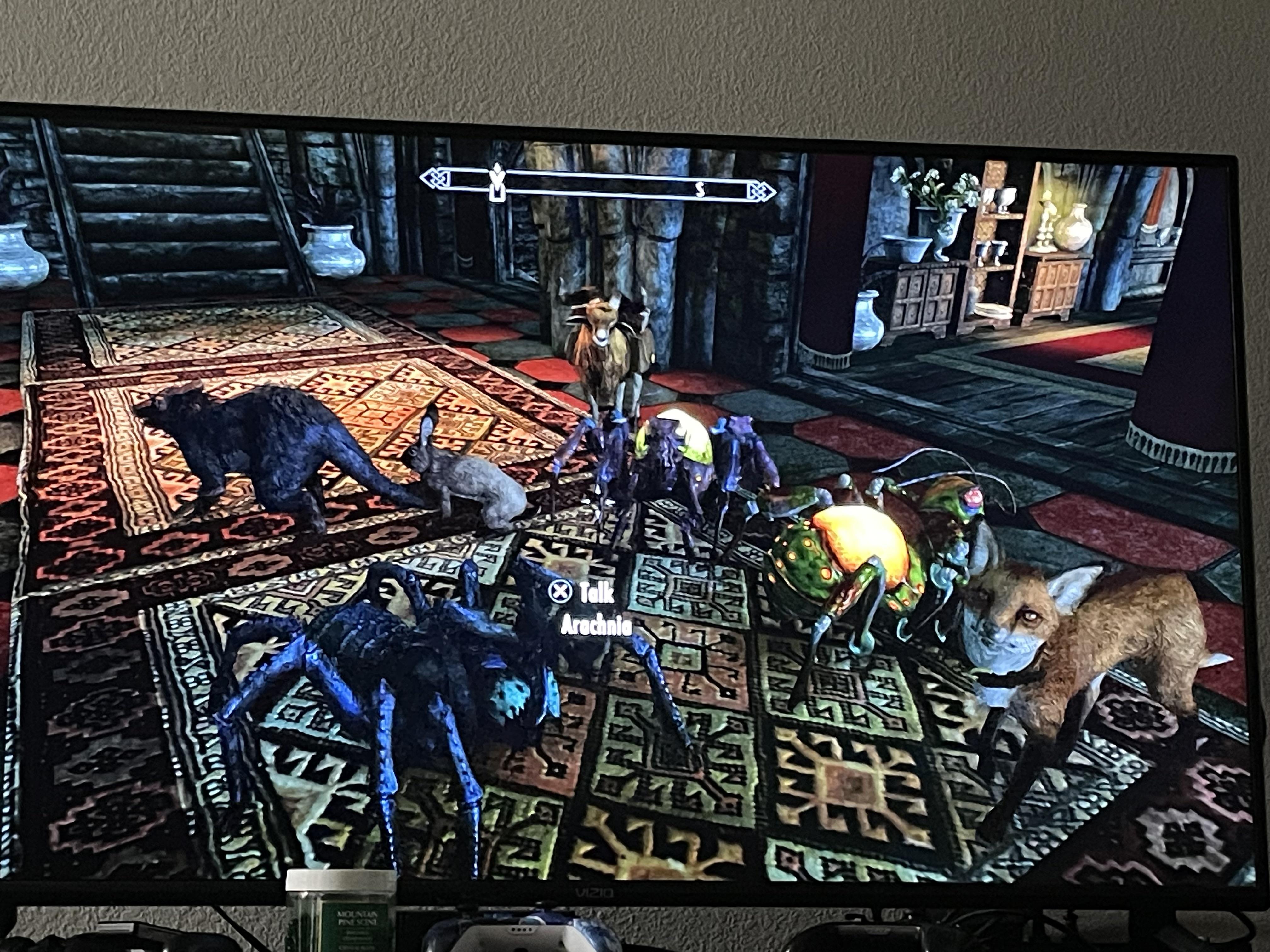 Discover more like Skyrim: Update on my pets and Related Content | Scrolller