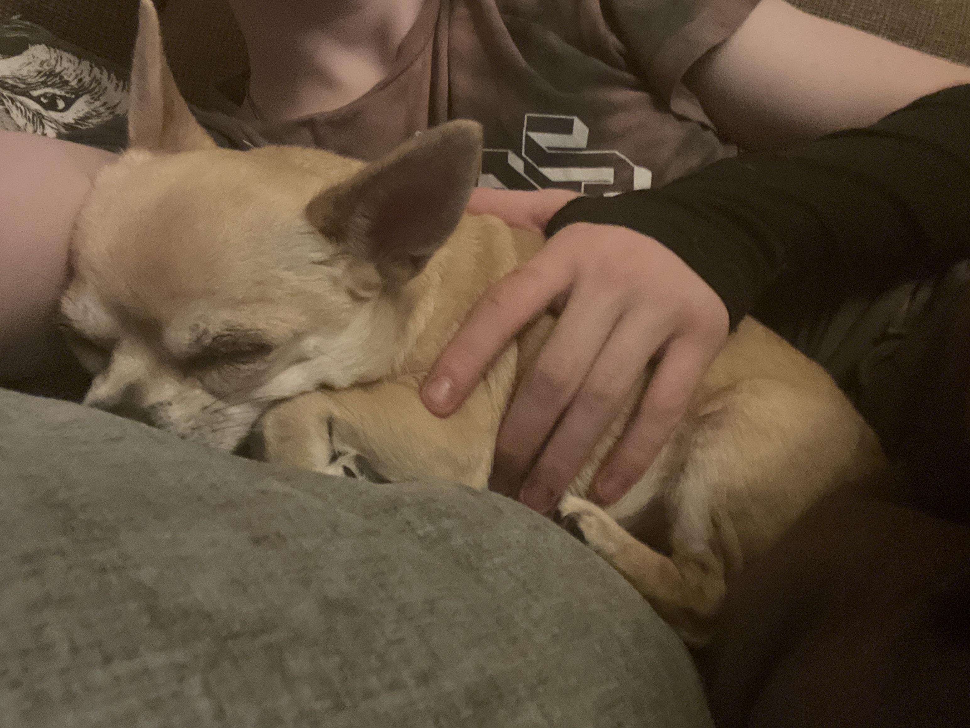 My sleepy little Lily | Scrolller