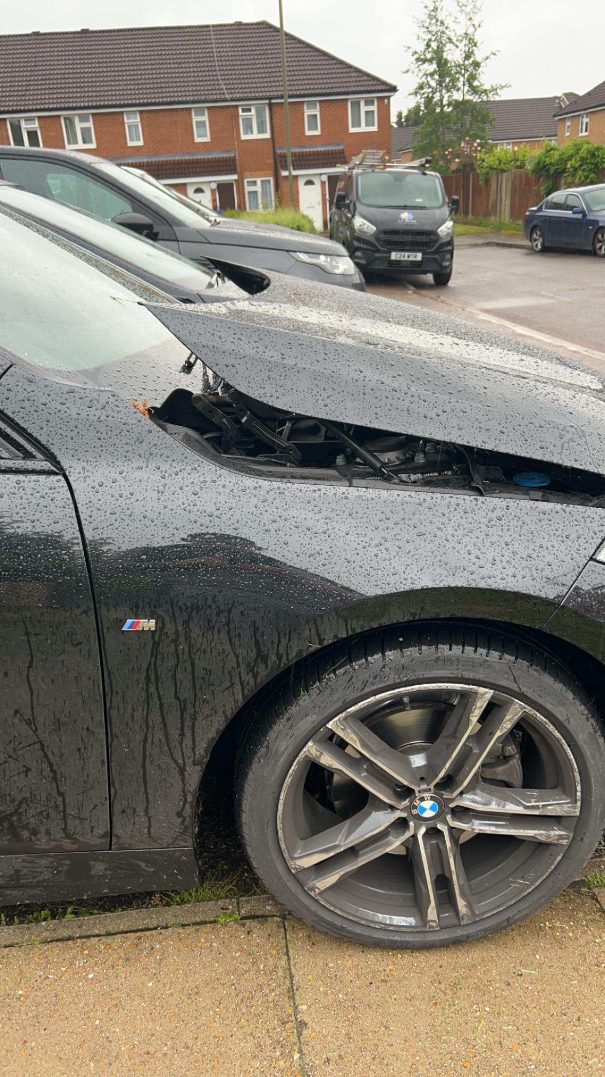 Pedestrian protection system | Scrolller