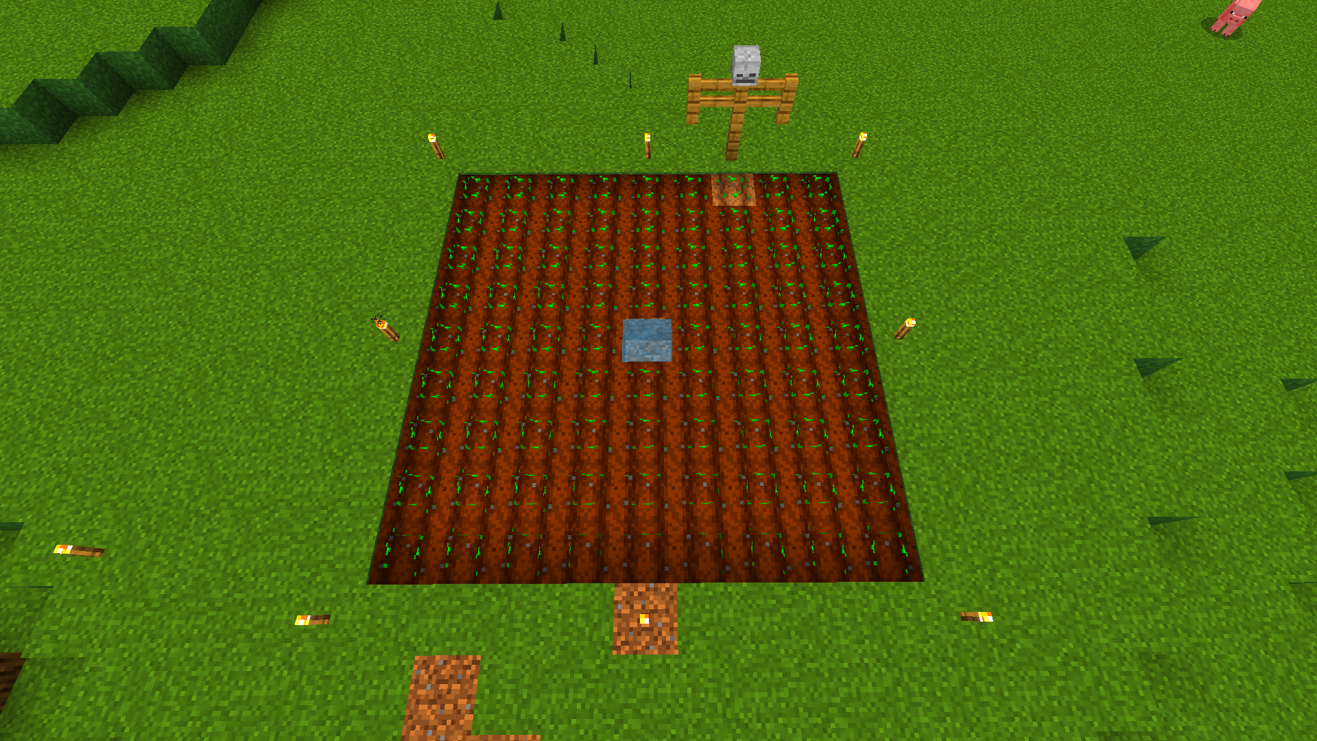 Crops taking long to grow | Scrolller