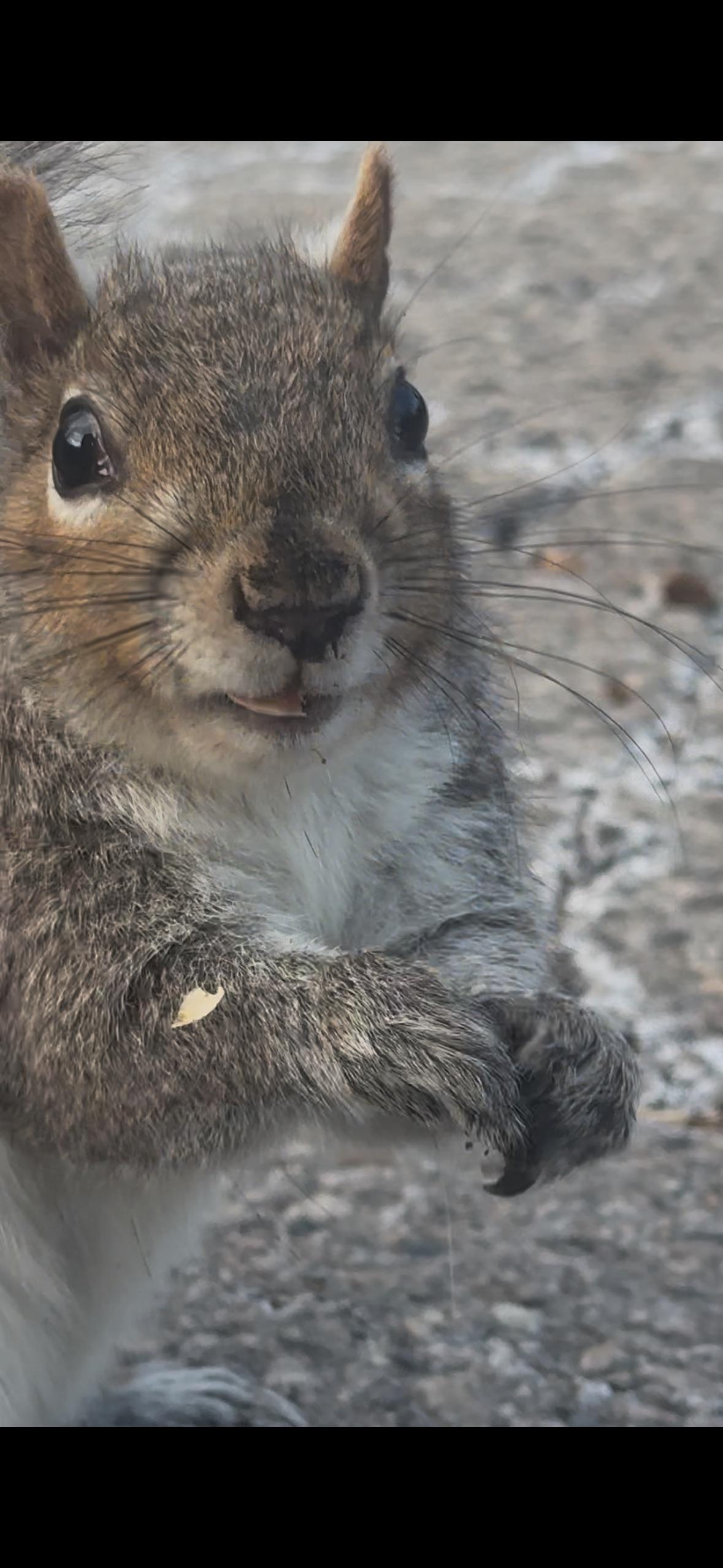 Munching close-up! | Scrolller