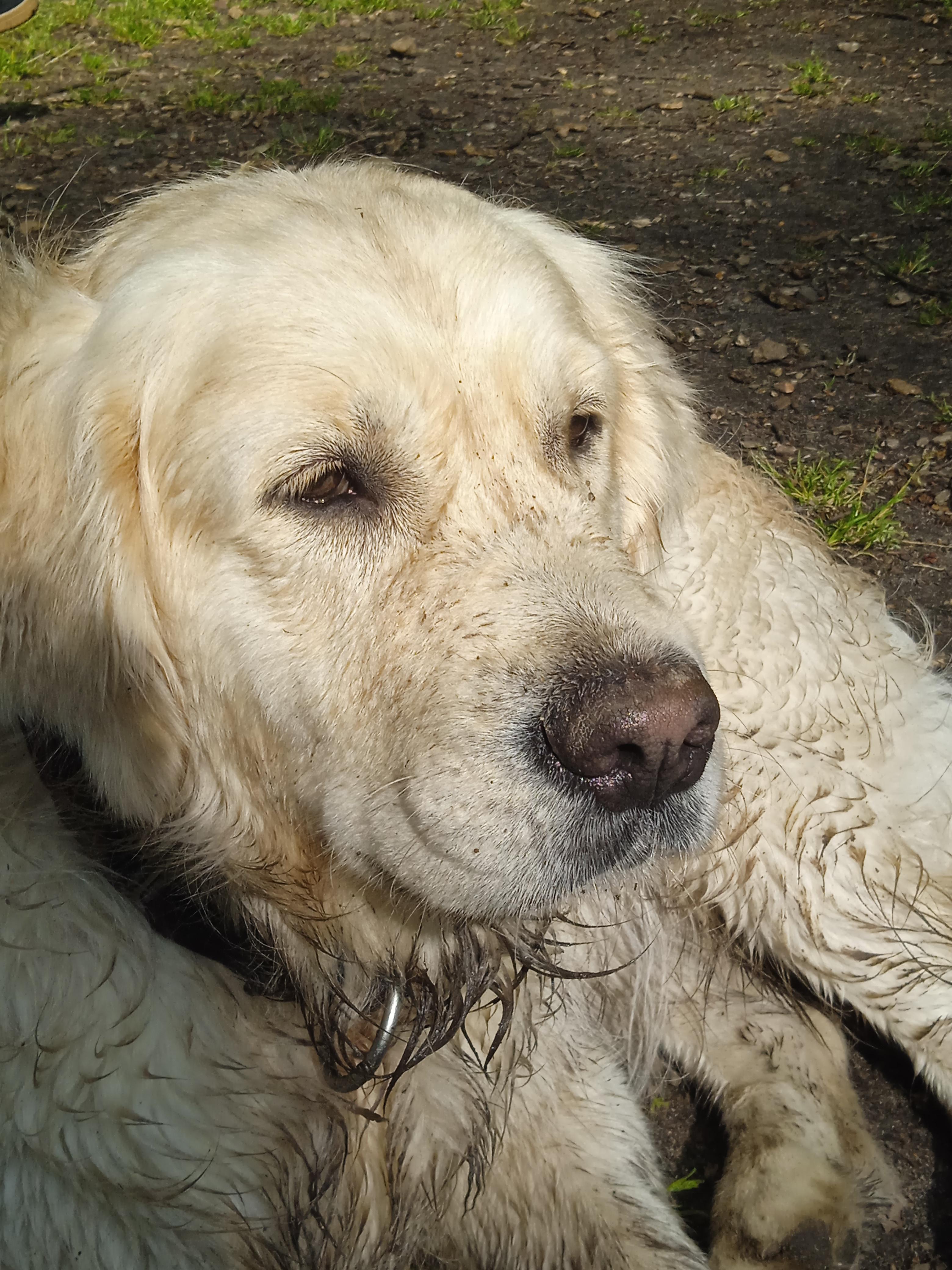 Went out to the woods with Tony's siblings Jack and Raven (OC) | Scrolller