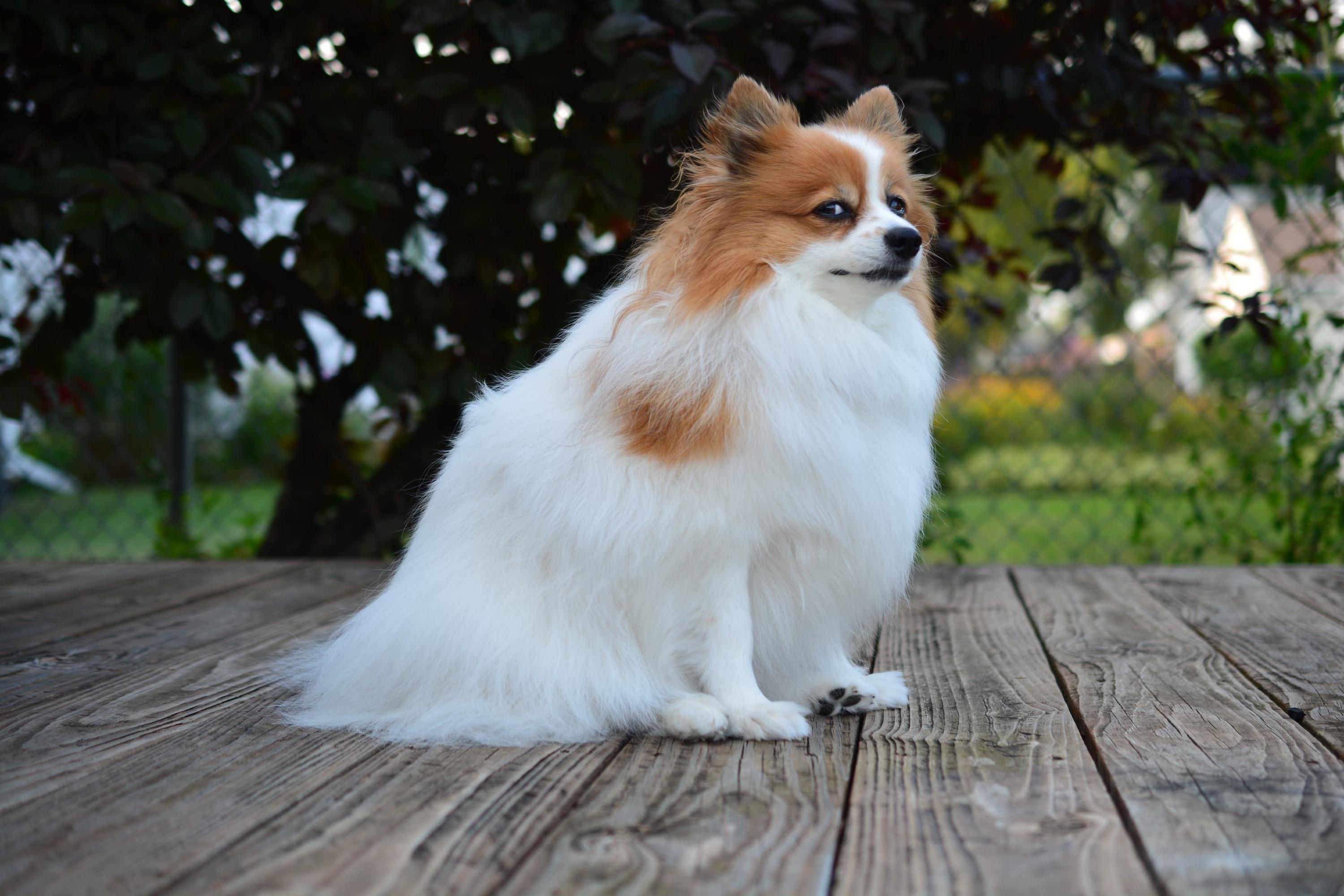 Yuki’s Story | Scrolller