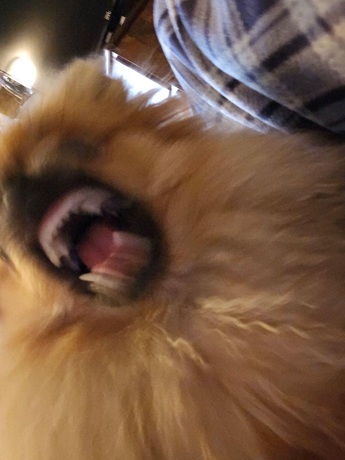 Sweet and sour | Scrolller