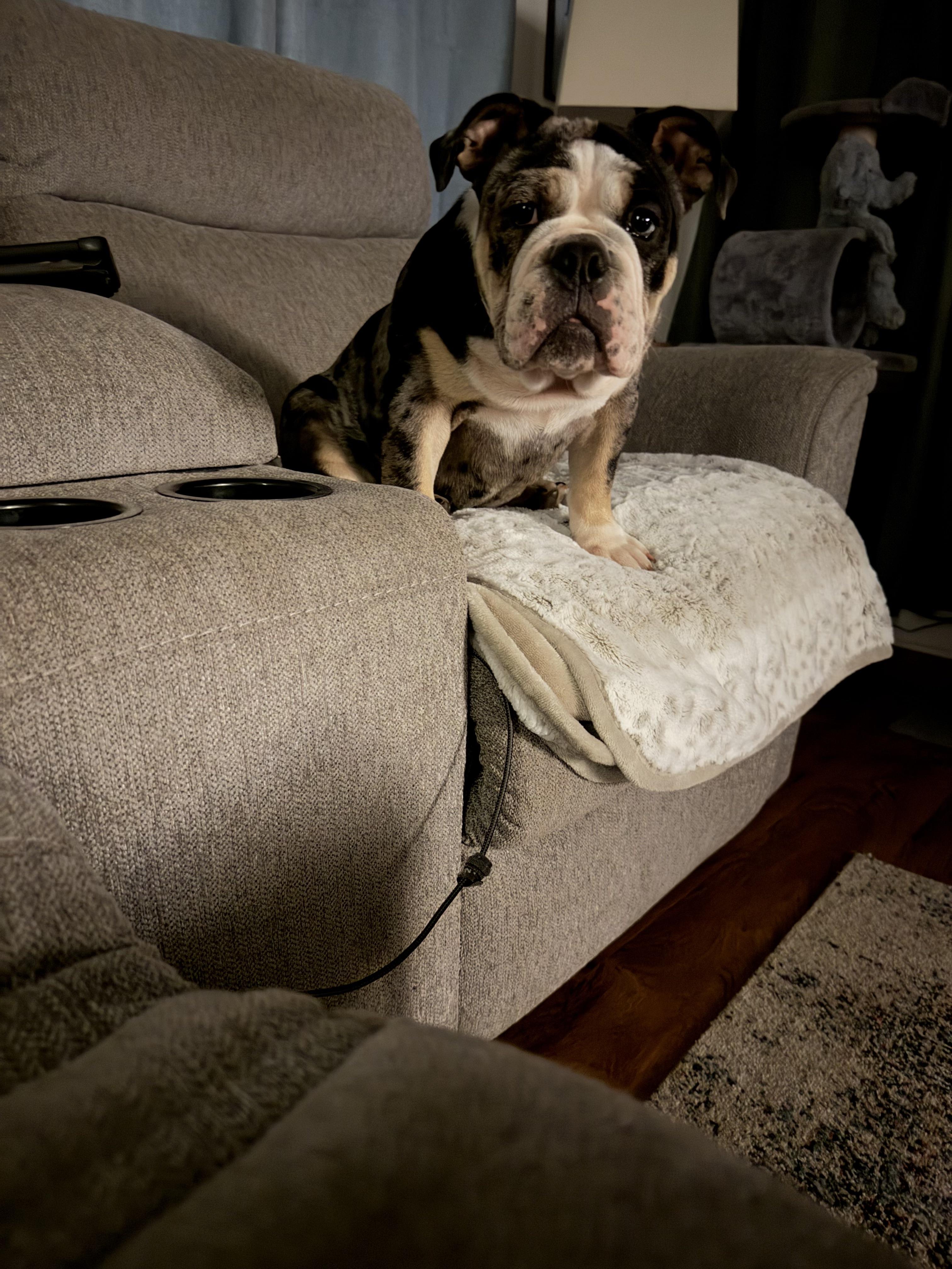 Cuddle bugs | Scrolller