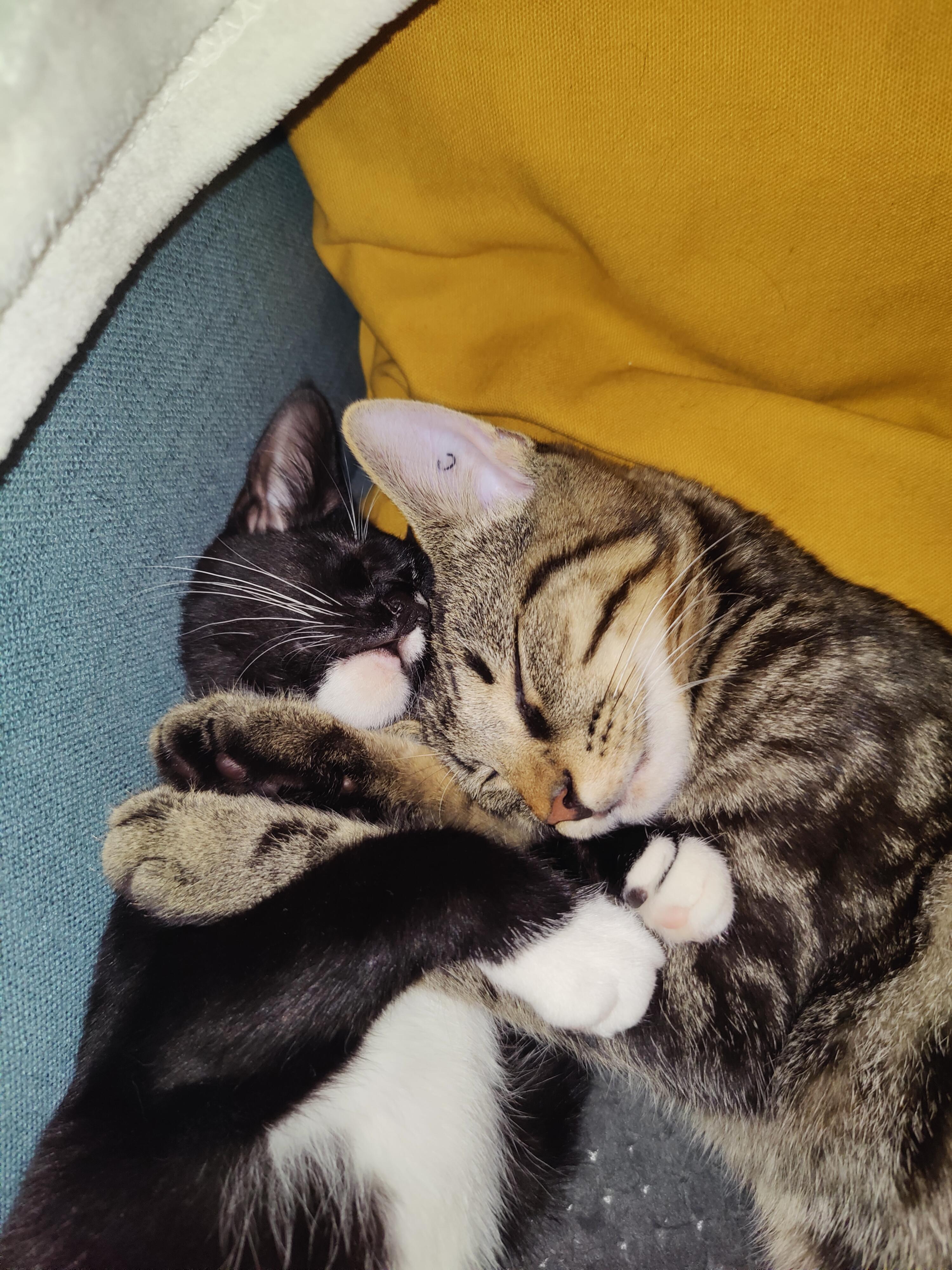 Siblings by choice 🥰 | Scrolller