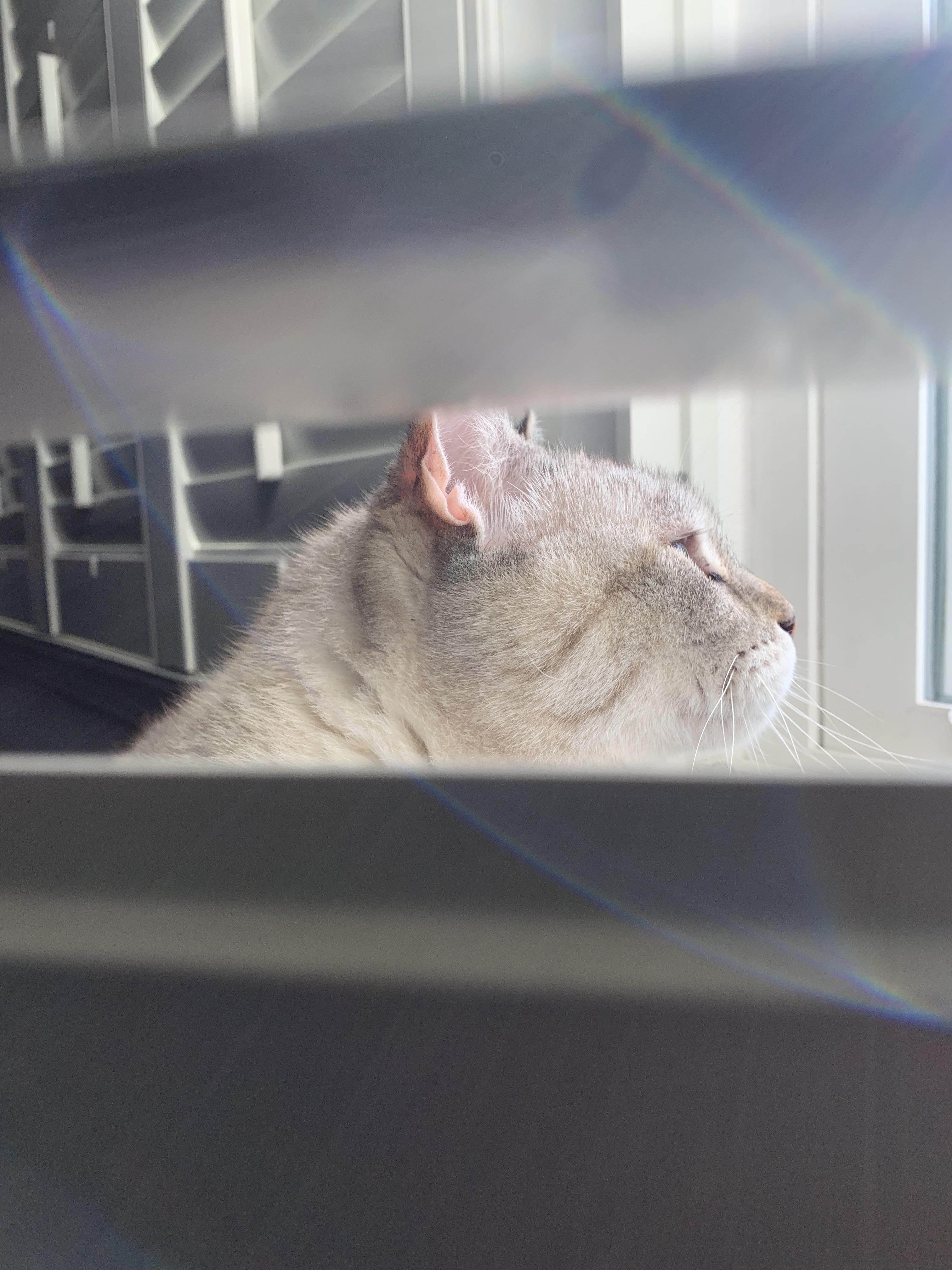 Just because… Ella. | Scrolller