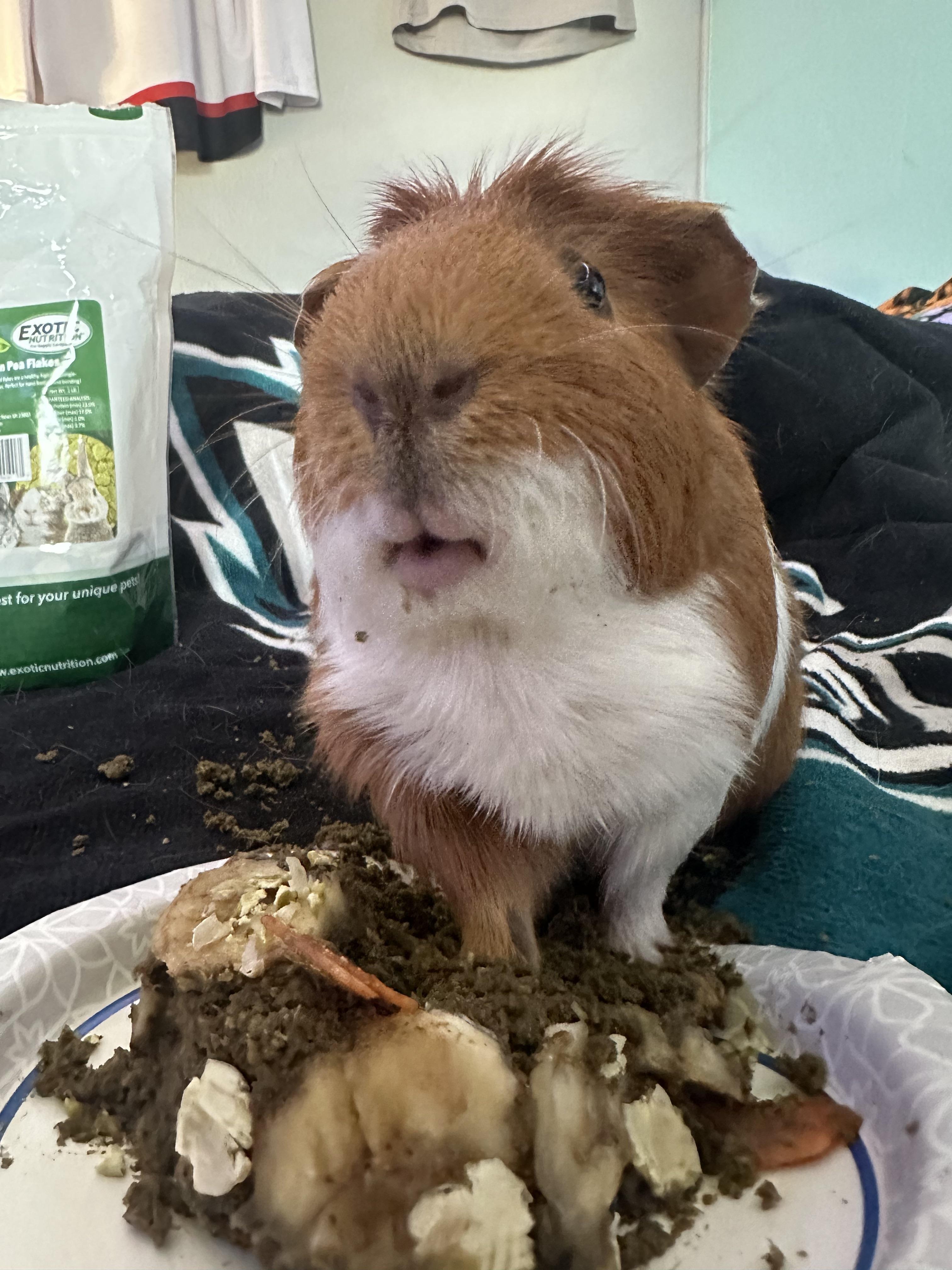 Steven is 5 ! | Scrolller