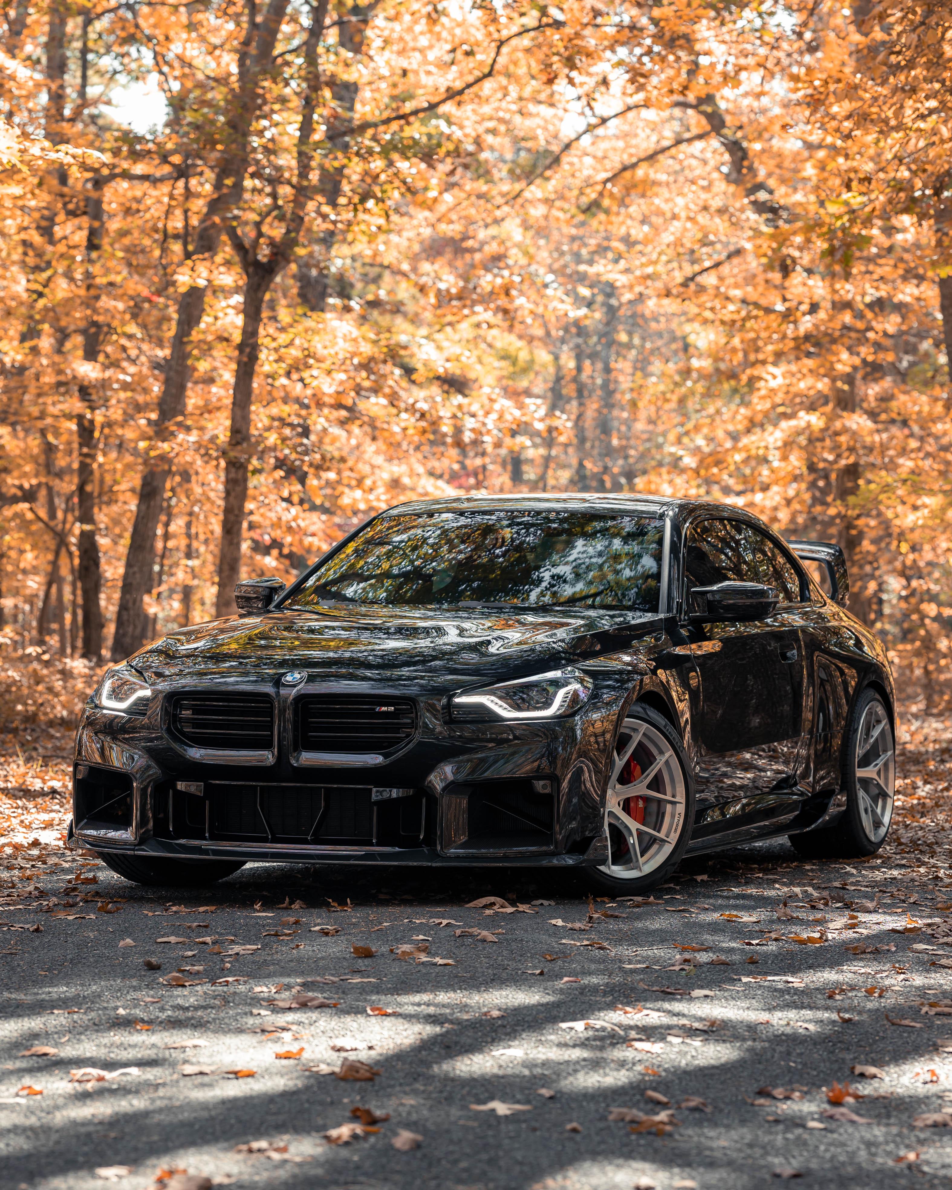 Fall Colors | Scrolller