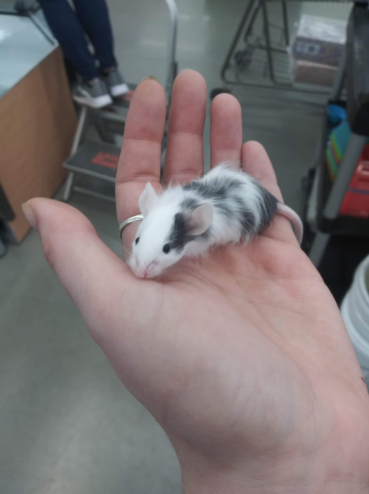 Photo dump! | Scrolller