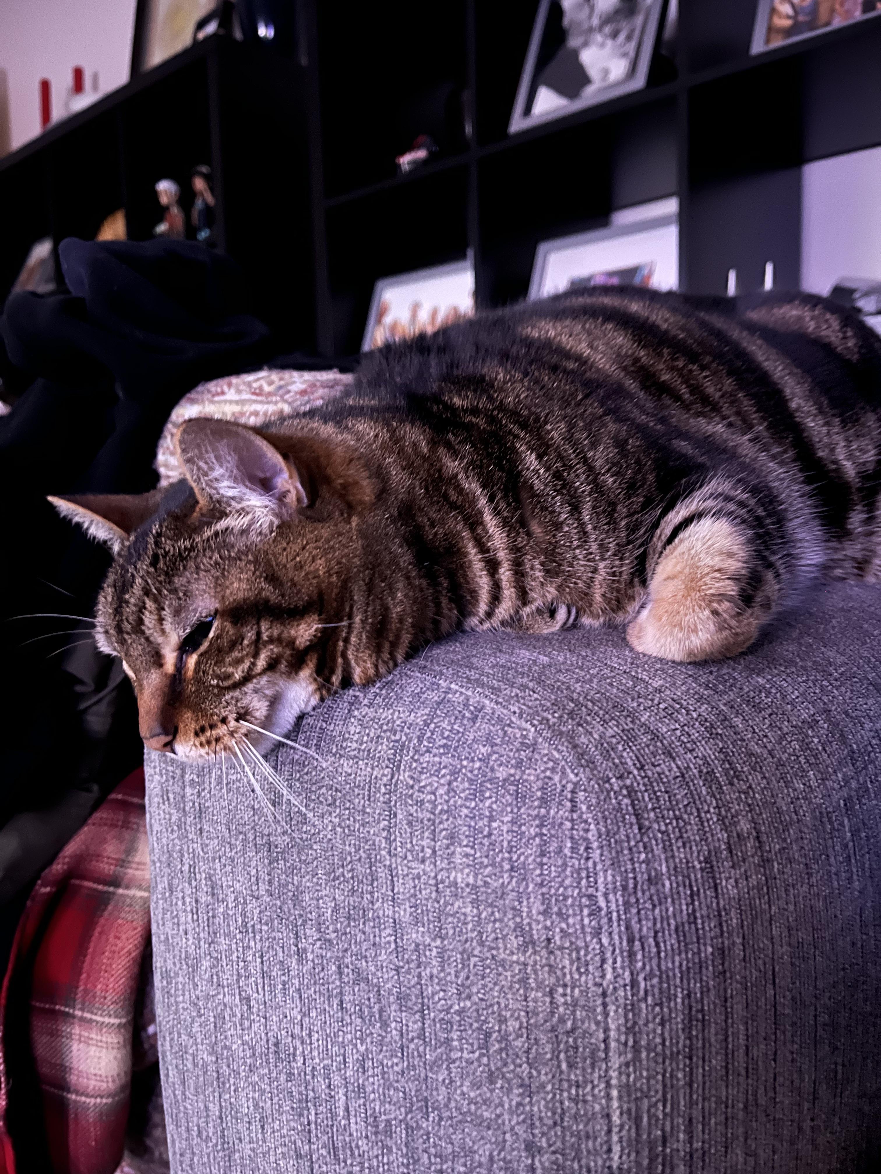 Weekend Energy | Scrolller