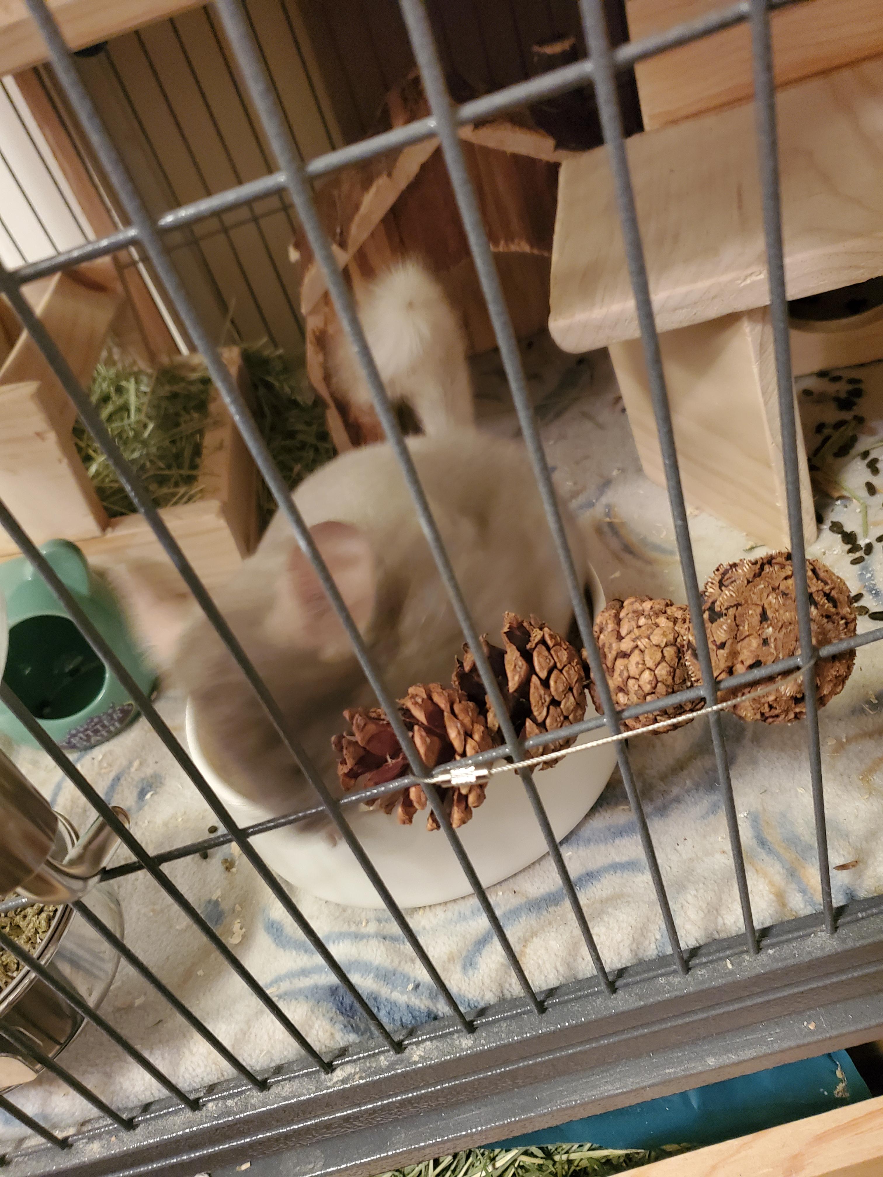 Meet Miss Gwen | Scrolller