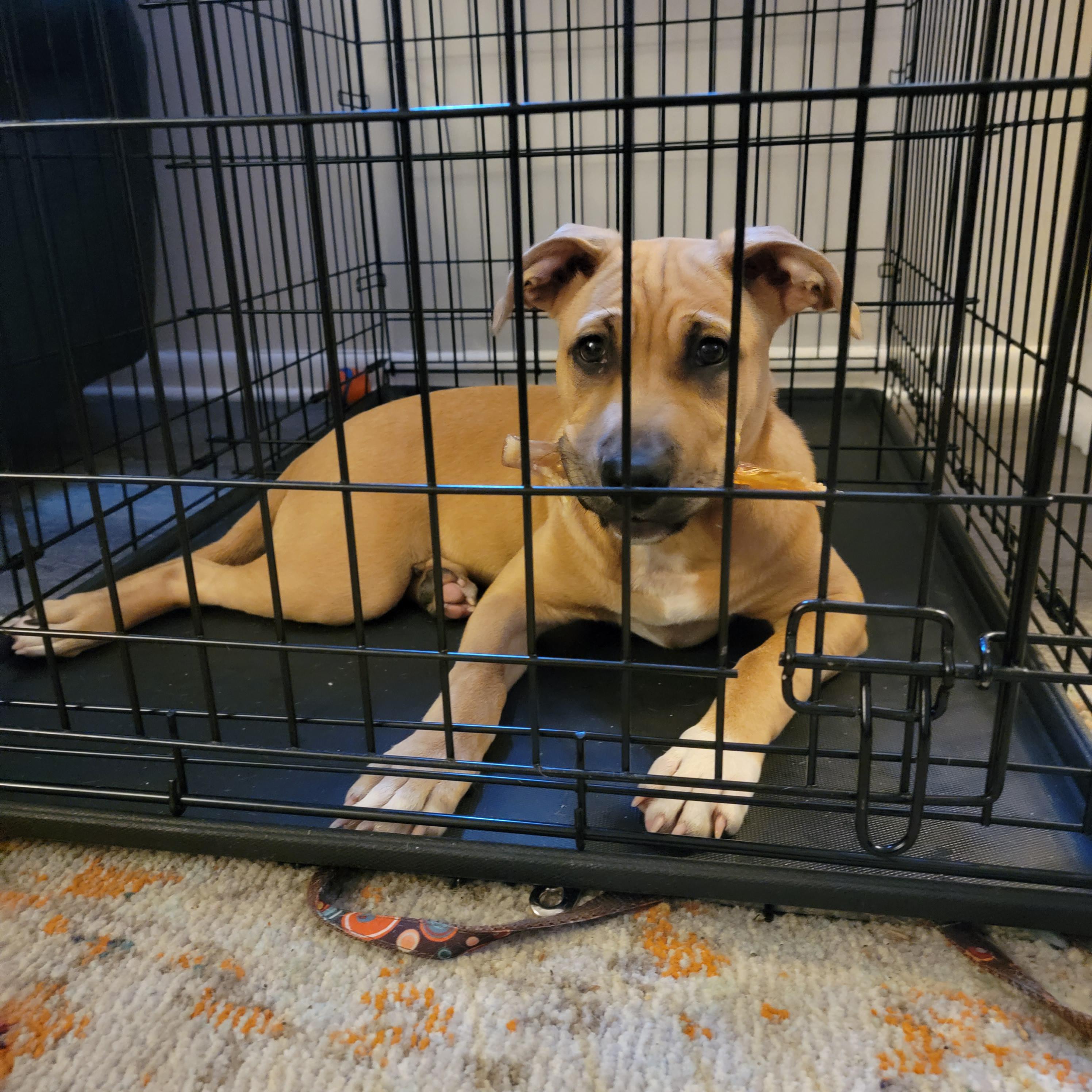 [OC] Time Flies | Scrolller