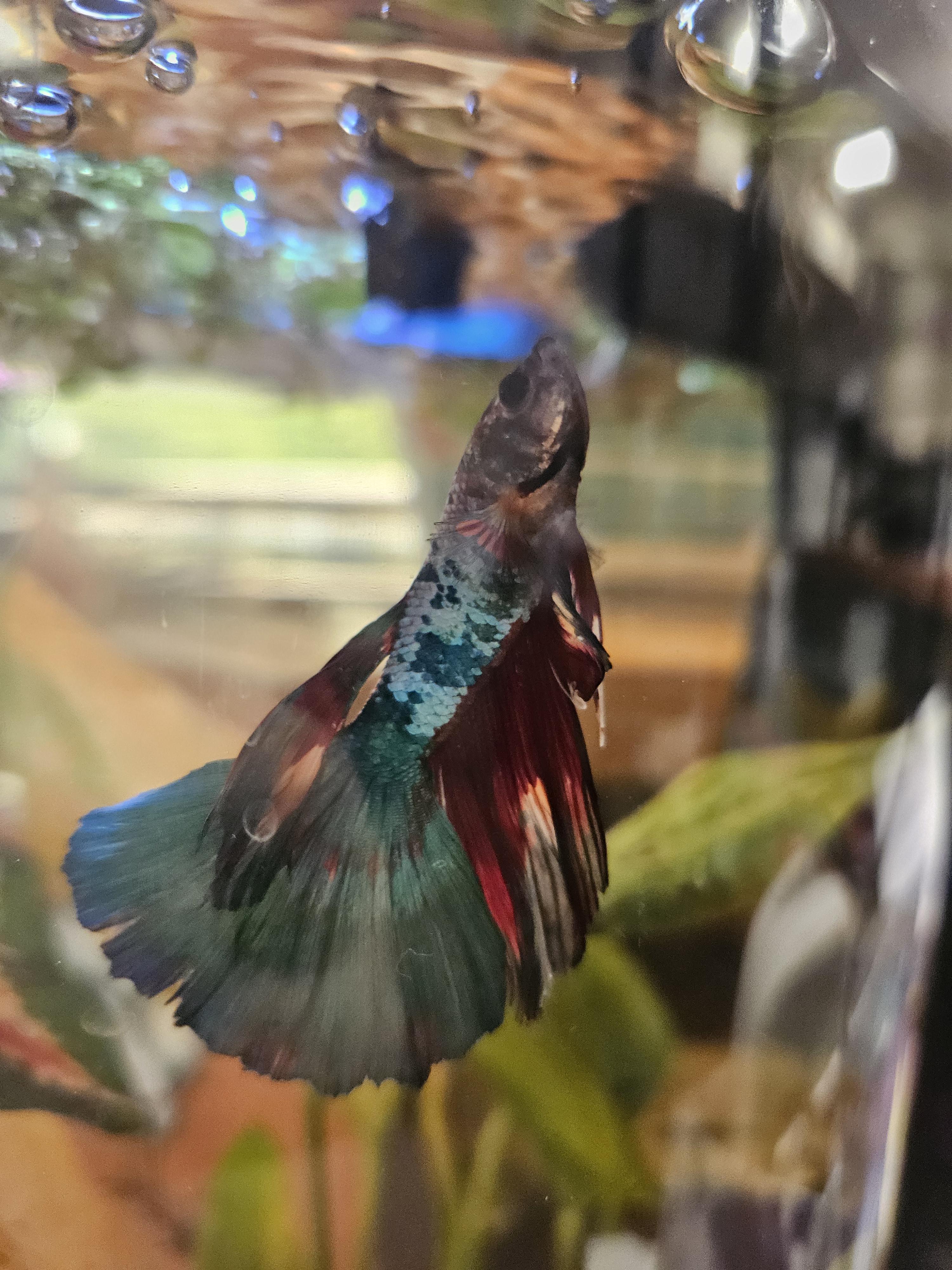 Is this normal?? | Scrolller