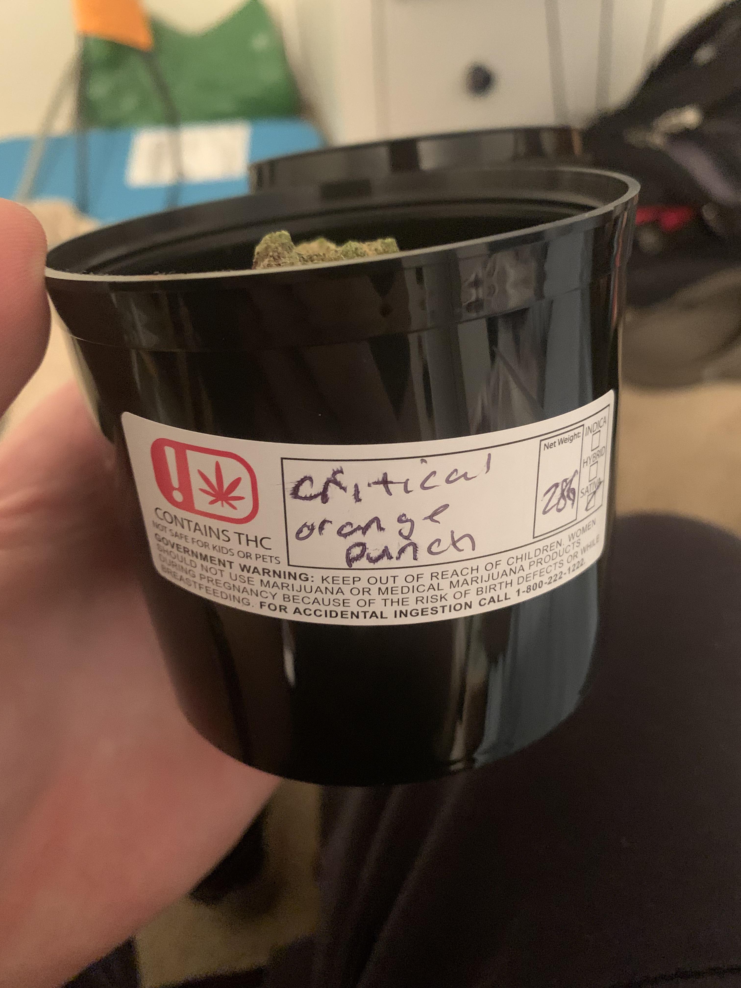 Some of the most dense nugs i have ever seen! | Scrolller