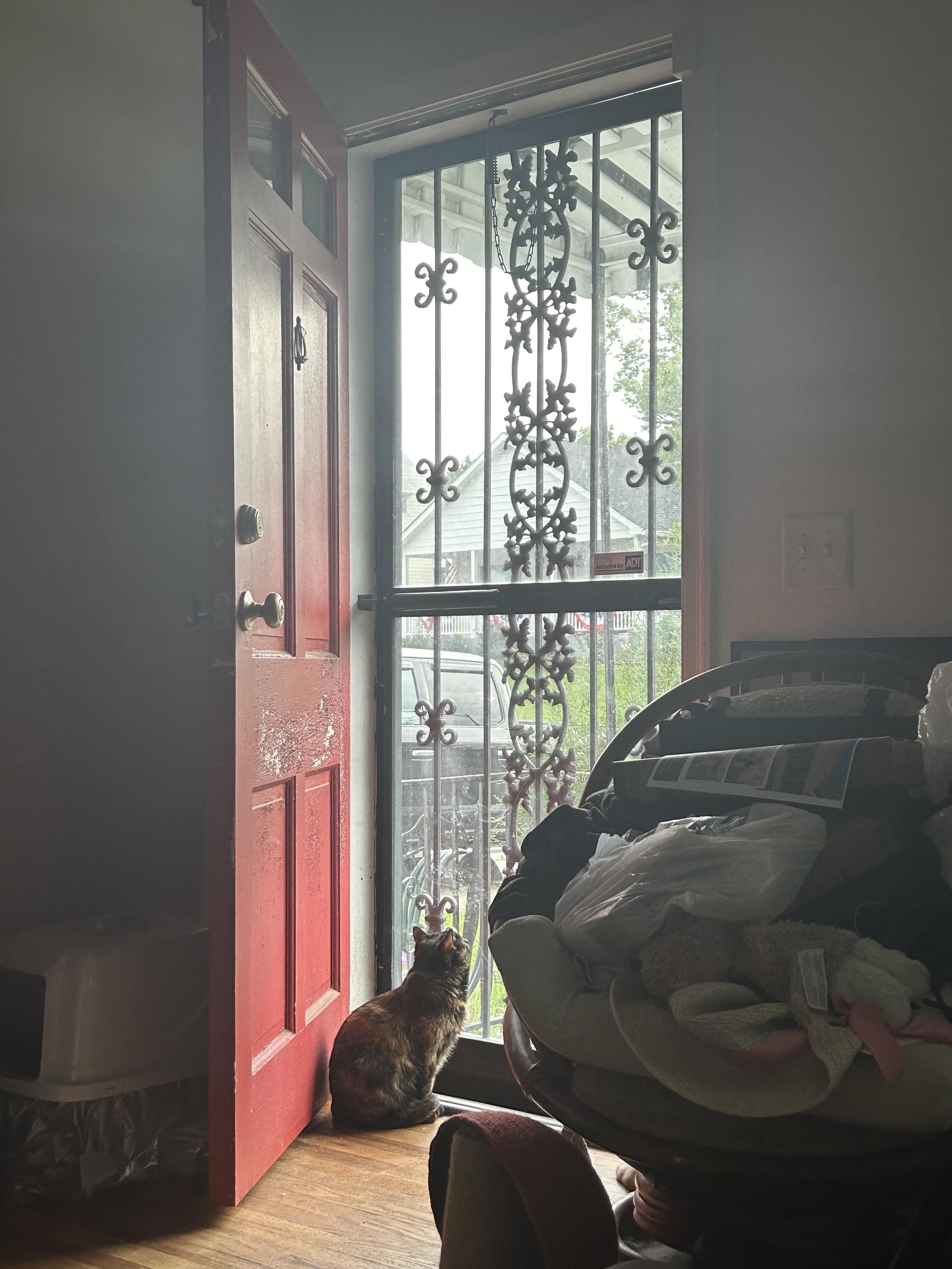 Who decided it was ok for her to be so tiny | Scrolller