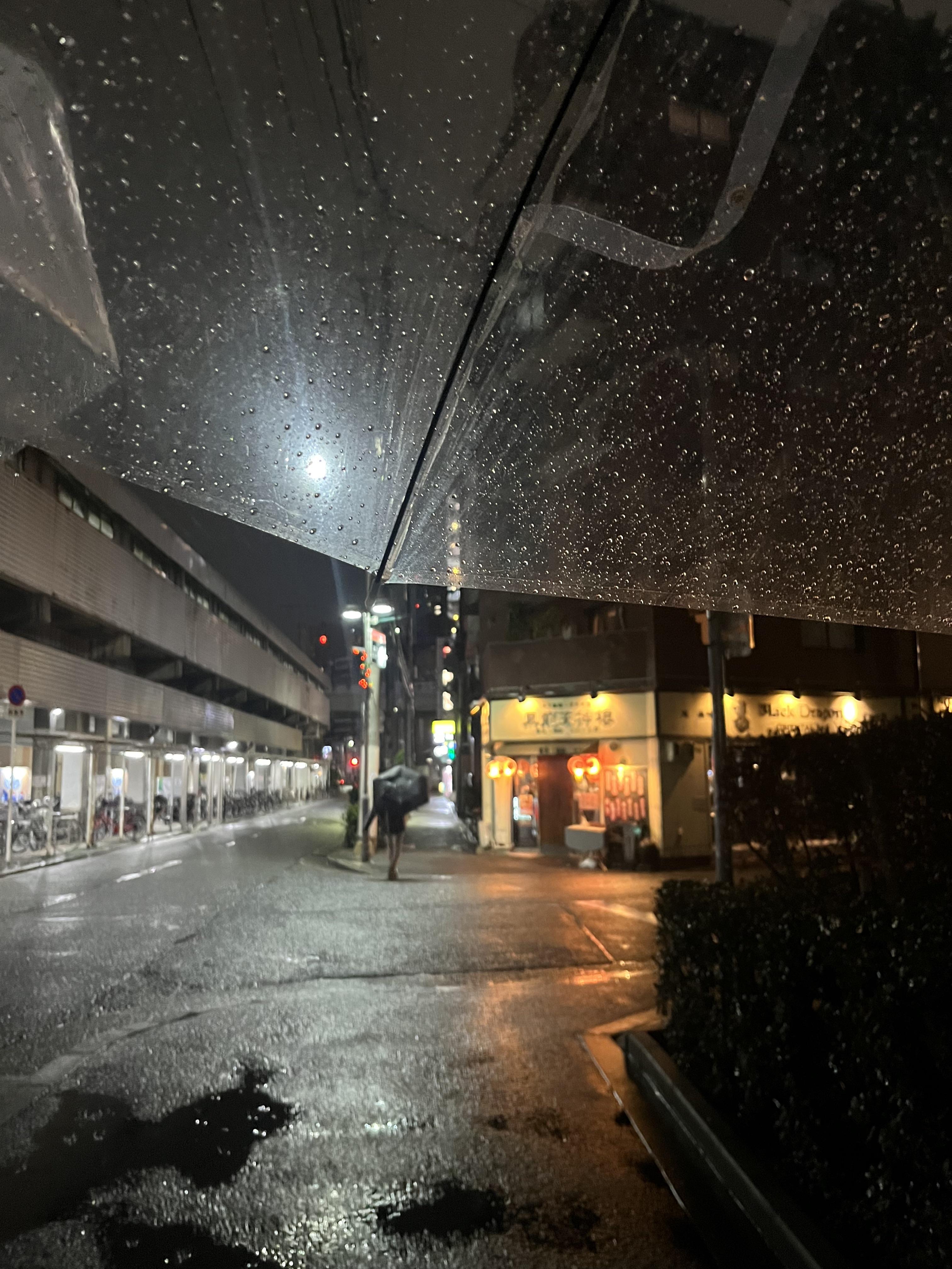 Nightwalk in Japan | Scrolller