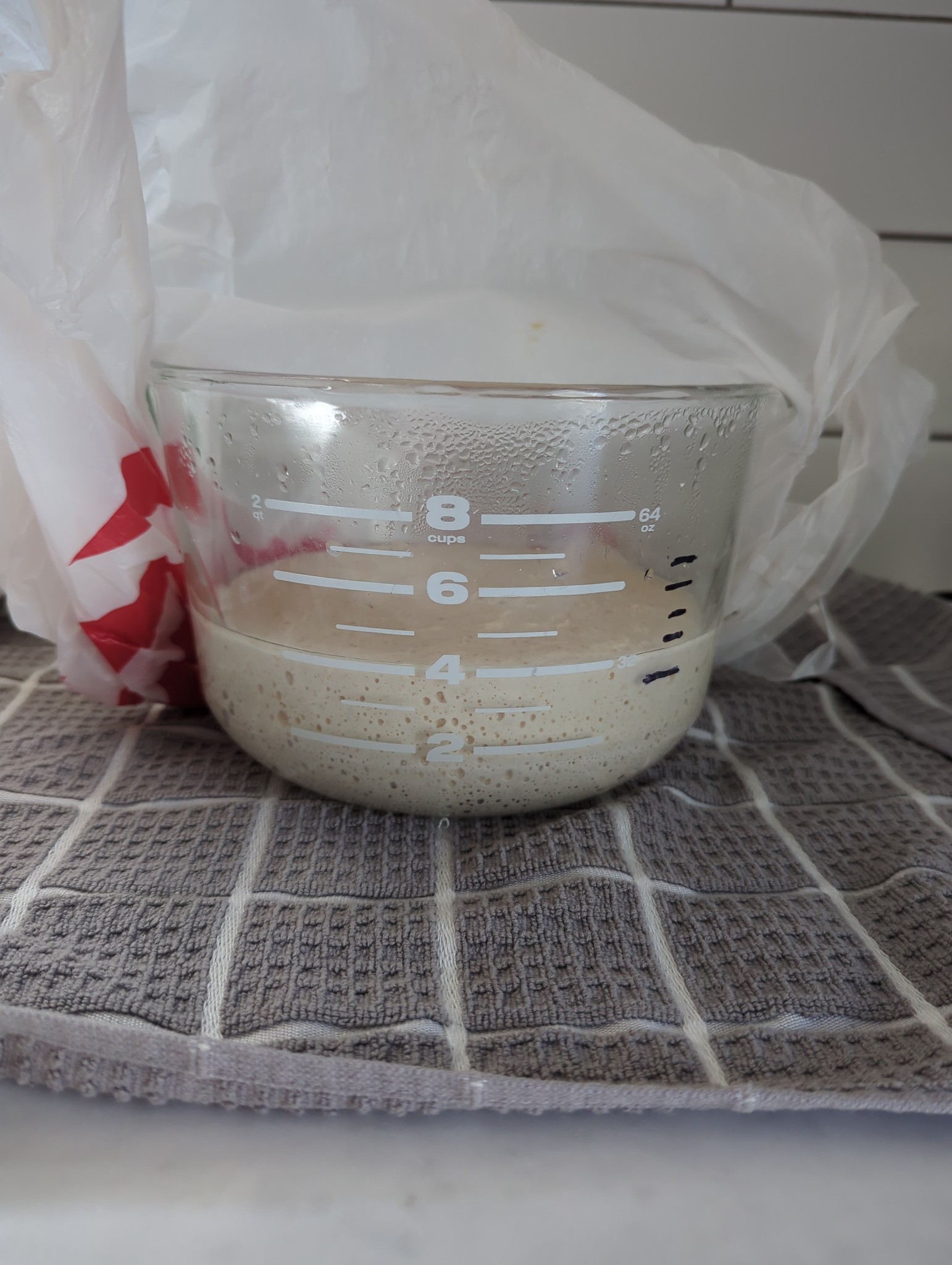 Dough very slow rising during bulk fermentation | Scrolller