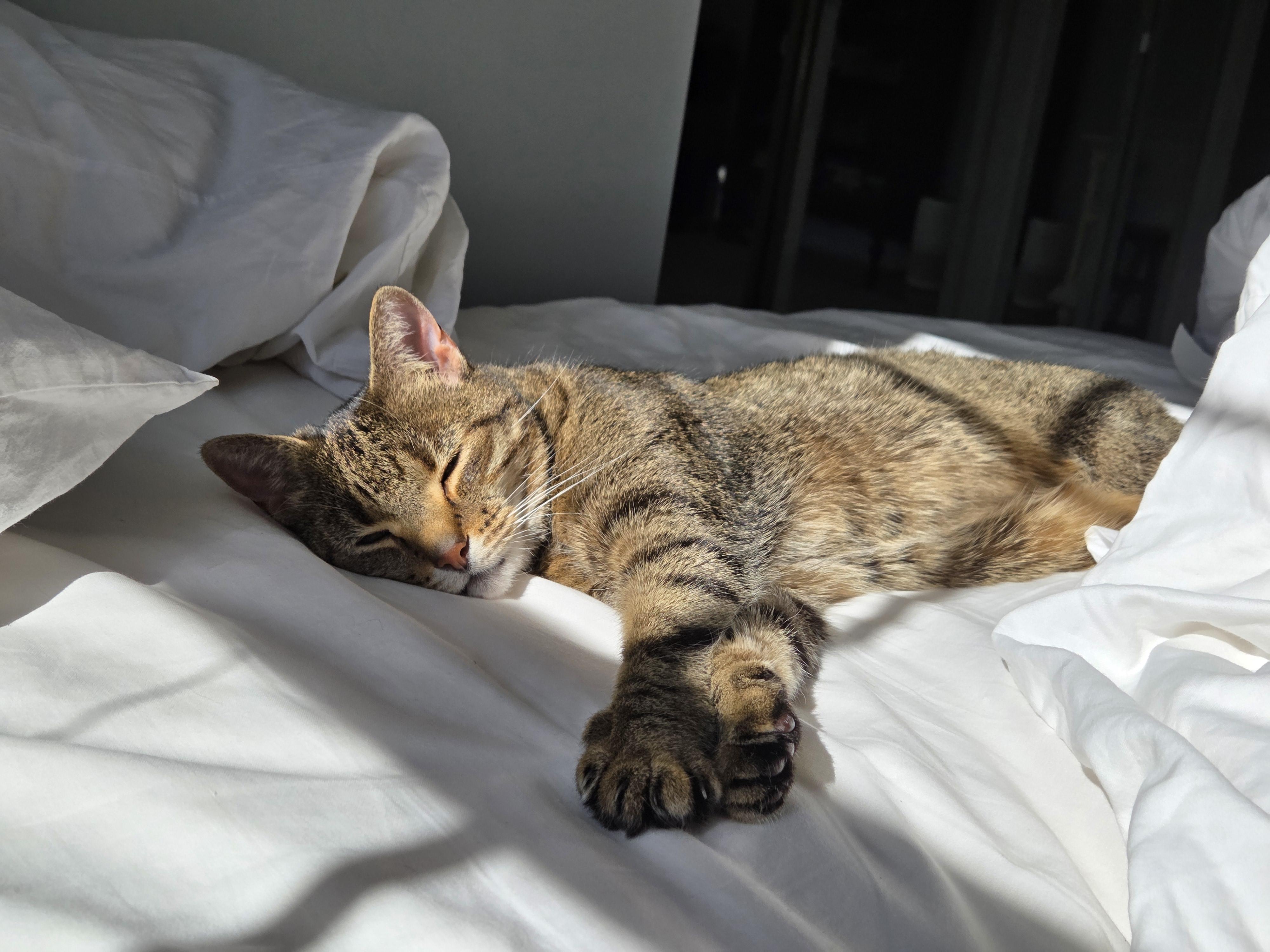 Solar Charging | Scrolller