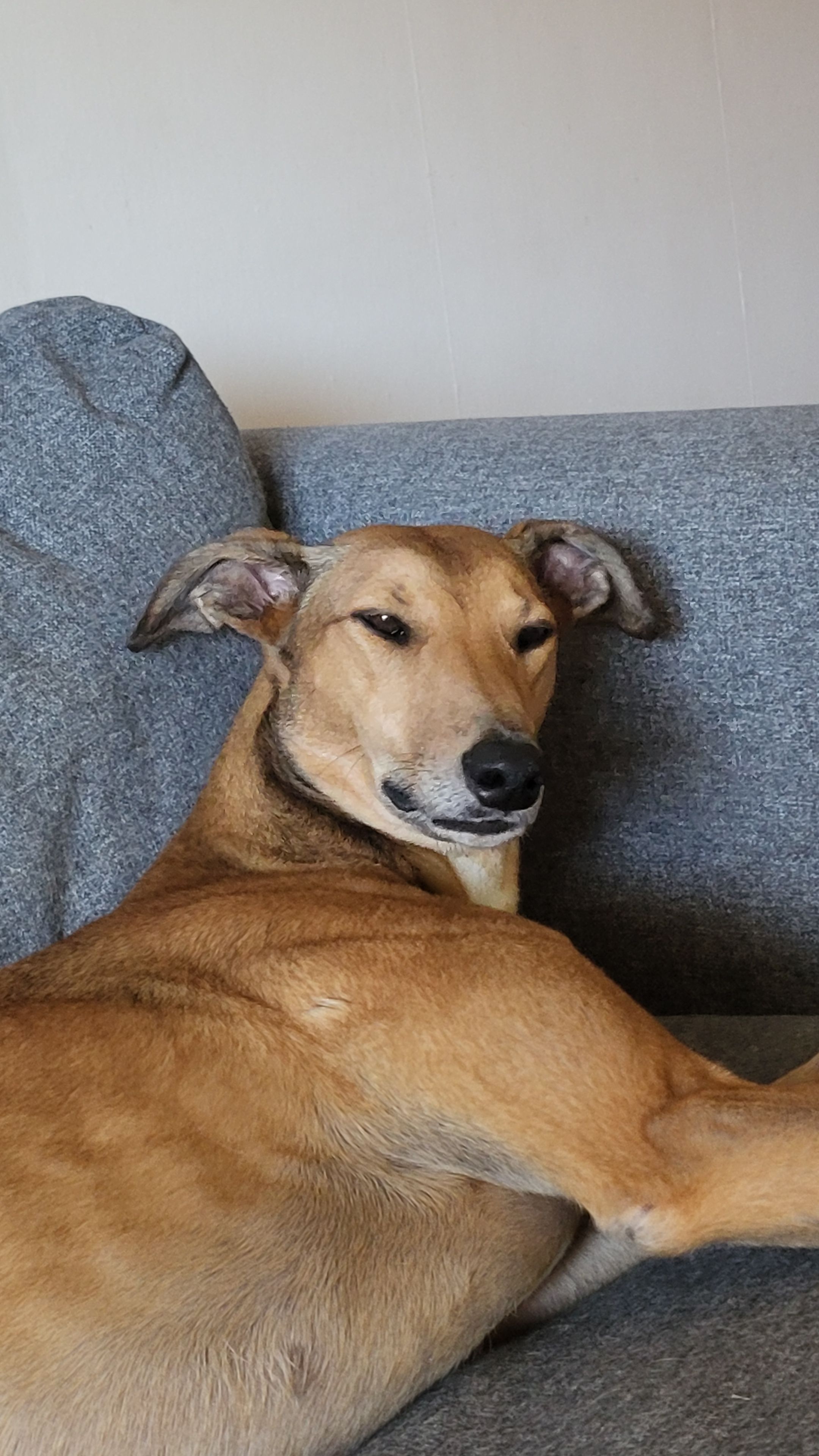 This is my strange creature | Scrolller