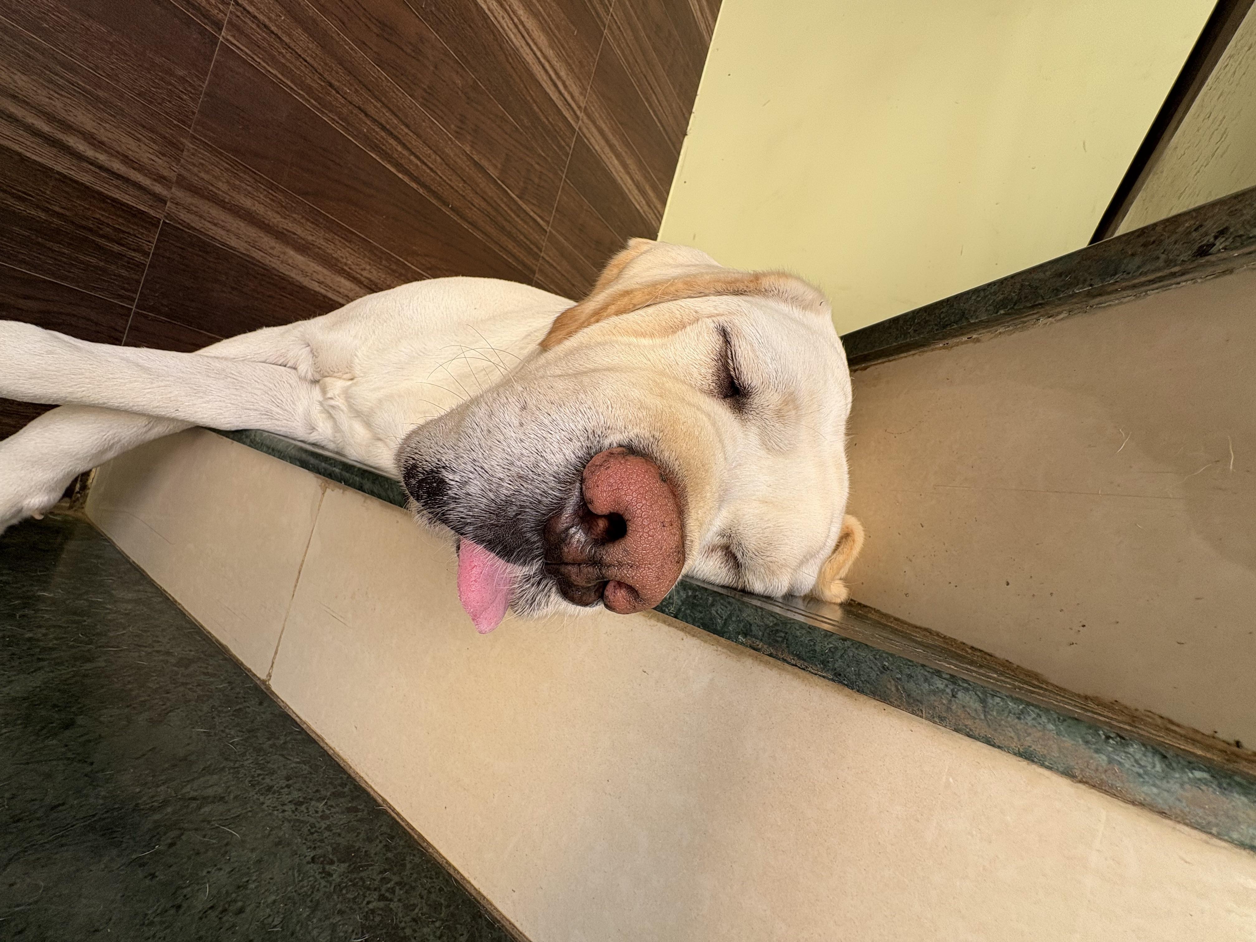 Is bro dead?? | Scrolller