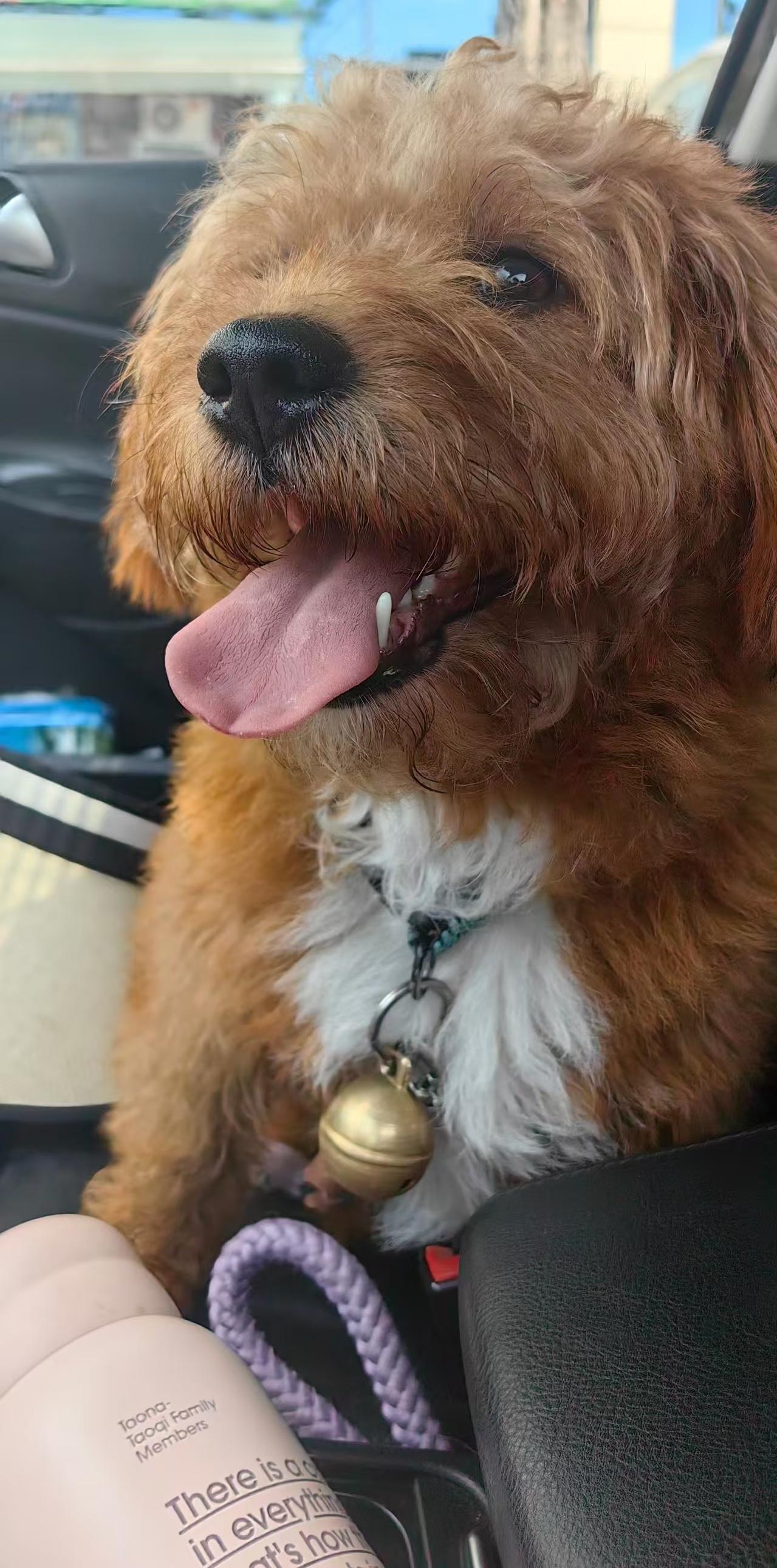 The with sparkling eyes becomes a hot dog! Hot summer! | Scrolller