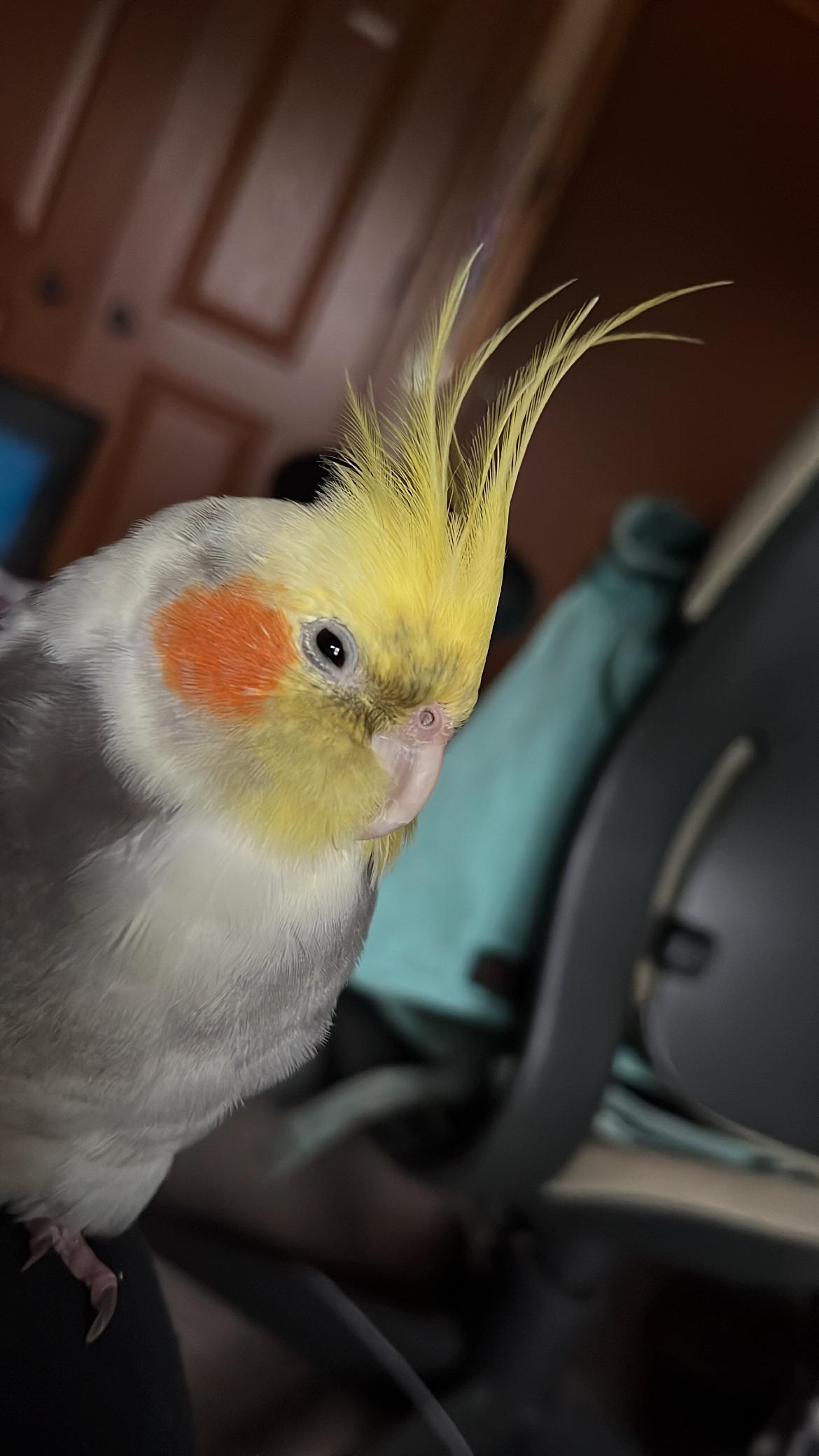 Difference? Nope! | Scrolller